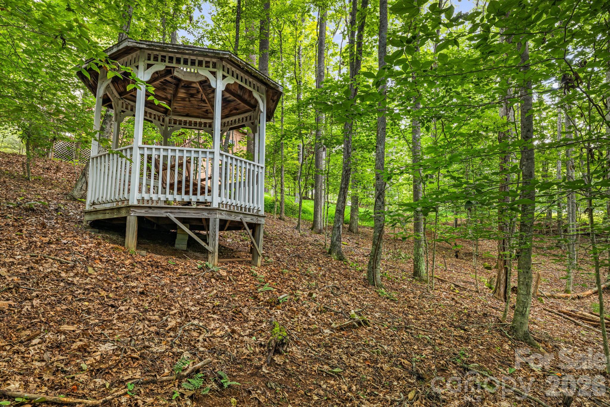 180 Grace Way, Green Mountain, NC - photo 35 of 42