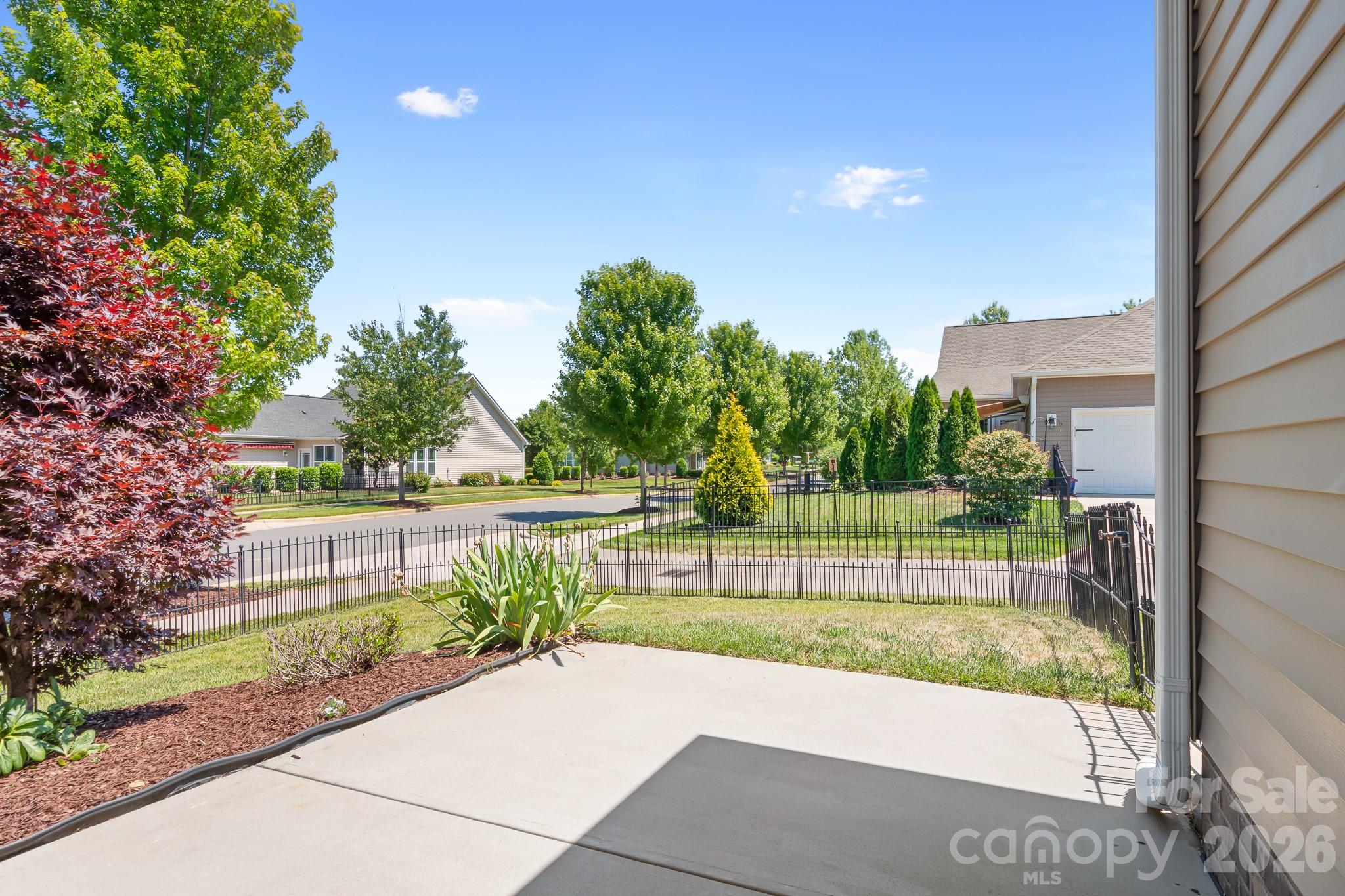 11642 Mount Argus Drive, Cornelius, NC - photo 30 of 49