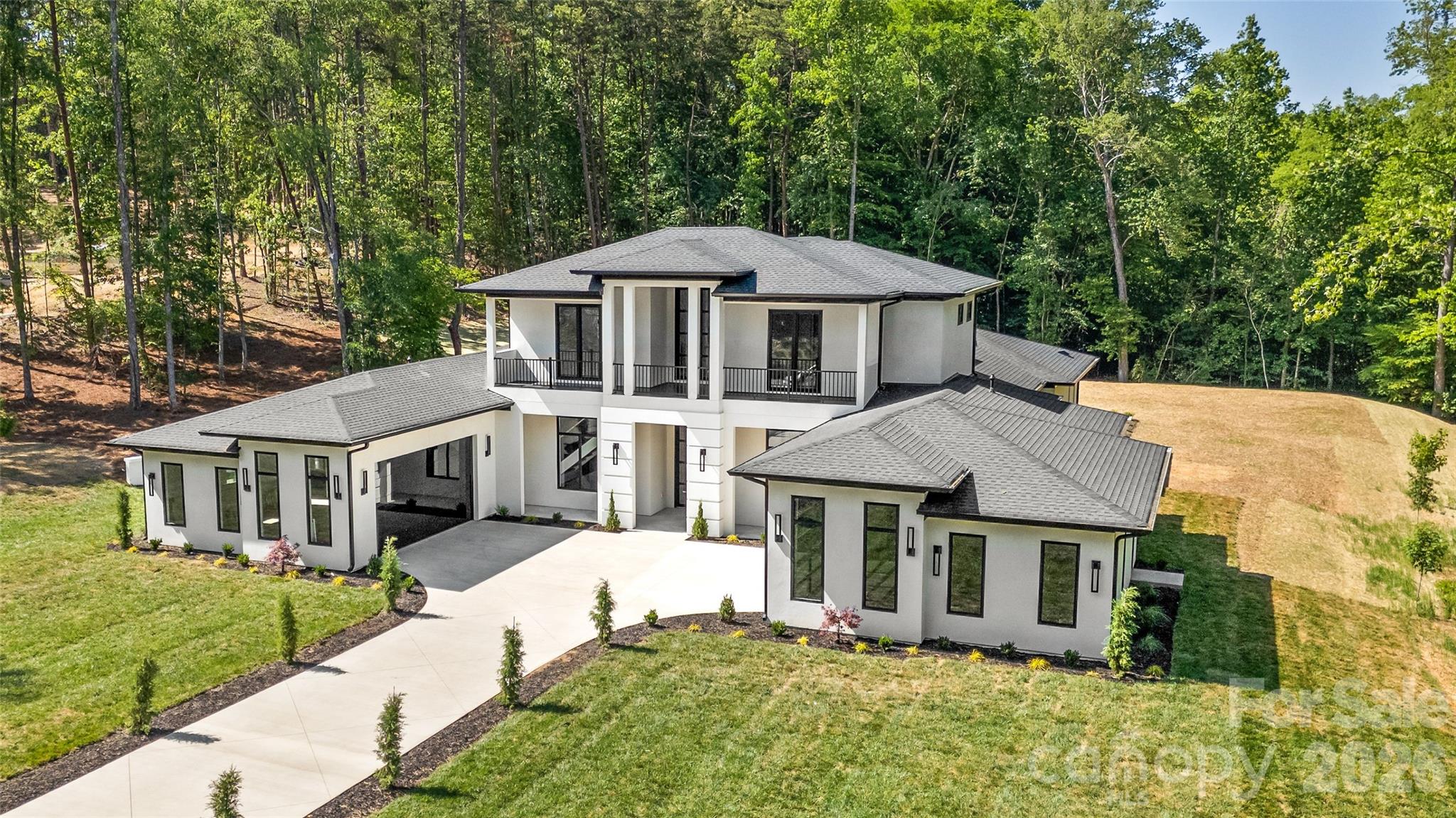 11220 Aubrey Elena Court, Davidson, NC