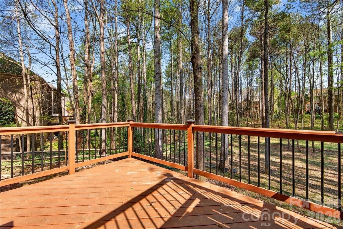 Photo 44 of 12532 Overlook Mountain Drive, Charlotte, NC