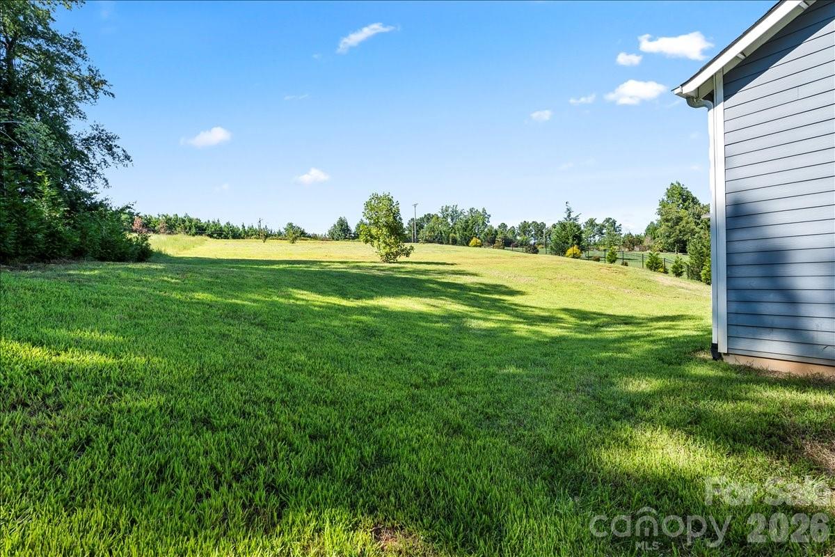 4243 Island Fox Lane, Denver, NC - photo 39 of 46