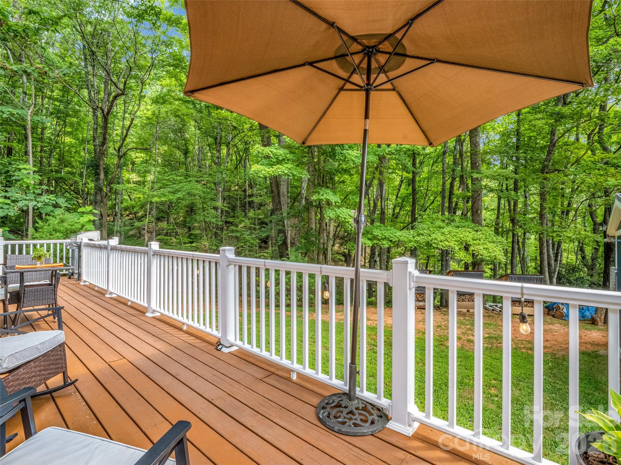 479 Camp Hill Road, Mill Spring, NC - photo 11 of 49