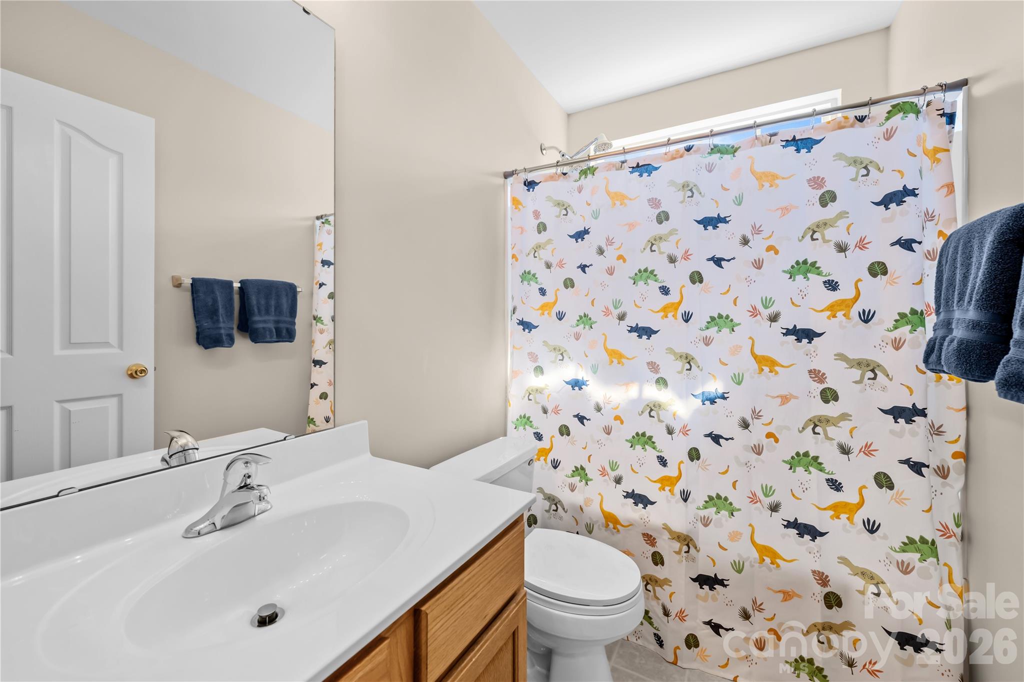 Photo 18 of 11229 Palomar Mountain Drive, Charlotte, NC