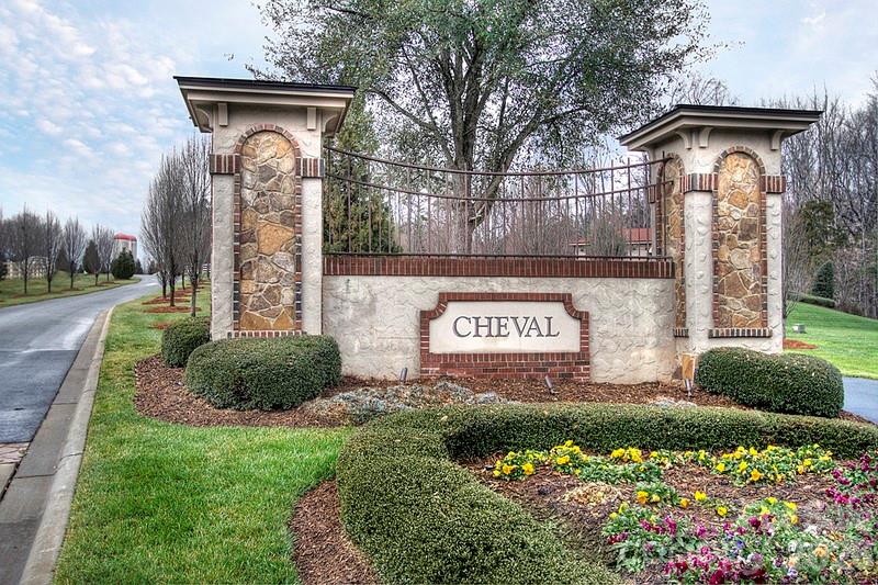 4113 Piaffe Avenue, Mint Hill, NC - photo 46 of 47