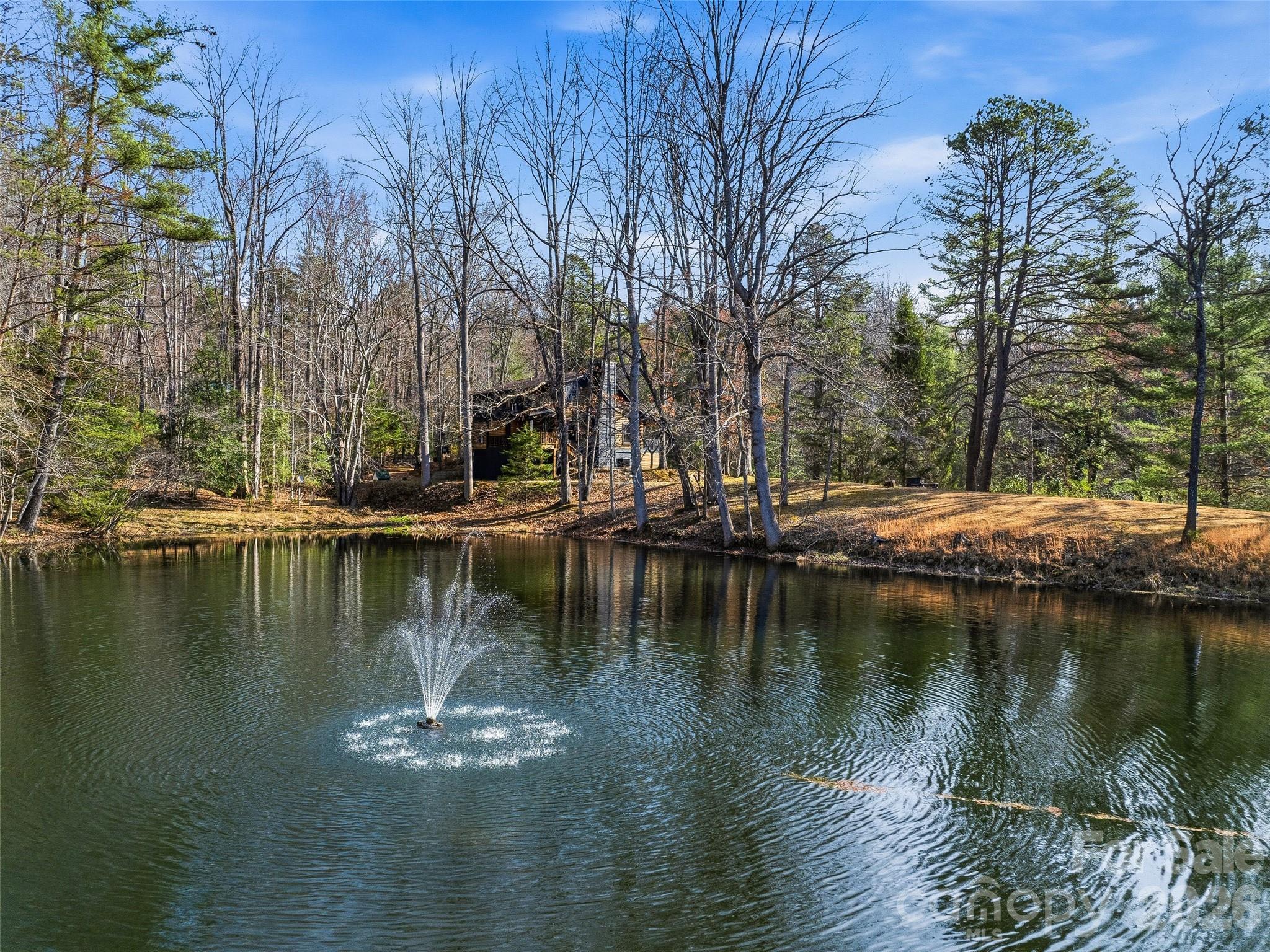 55 Valley Lane, Pisgah Forest, NC - photo 40 of 48