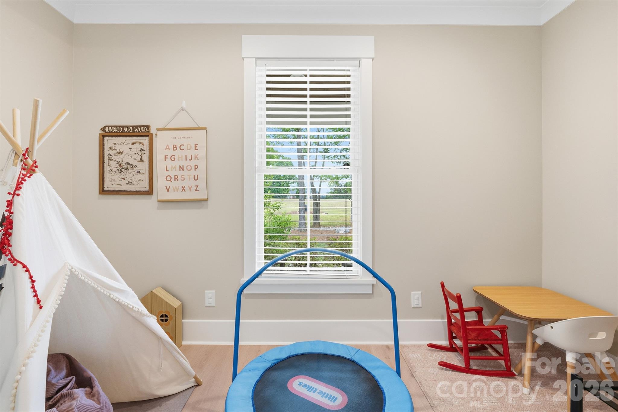 2855 Long Run Farm Road, Mount Pleasant, NC - photo 12 of 47