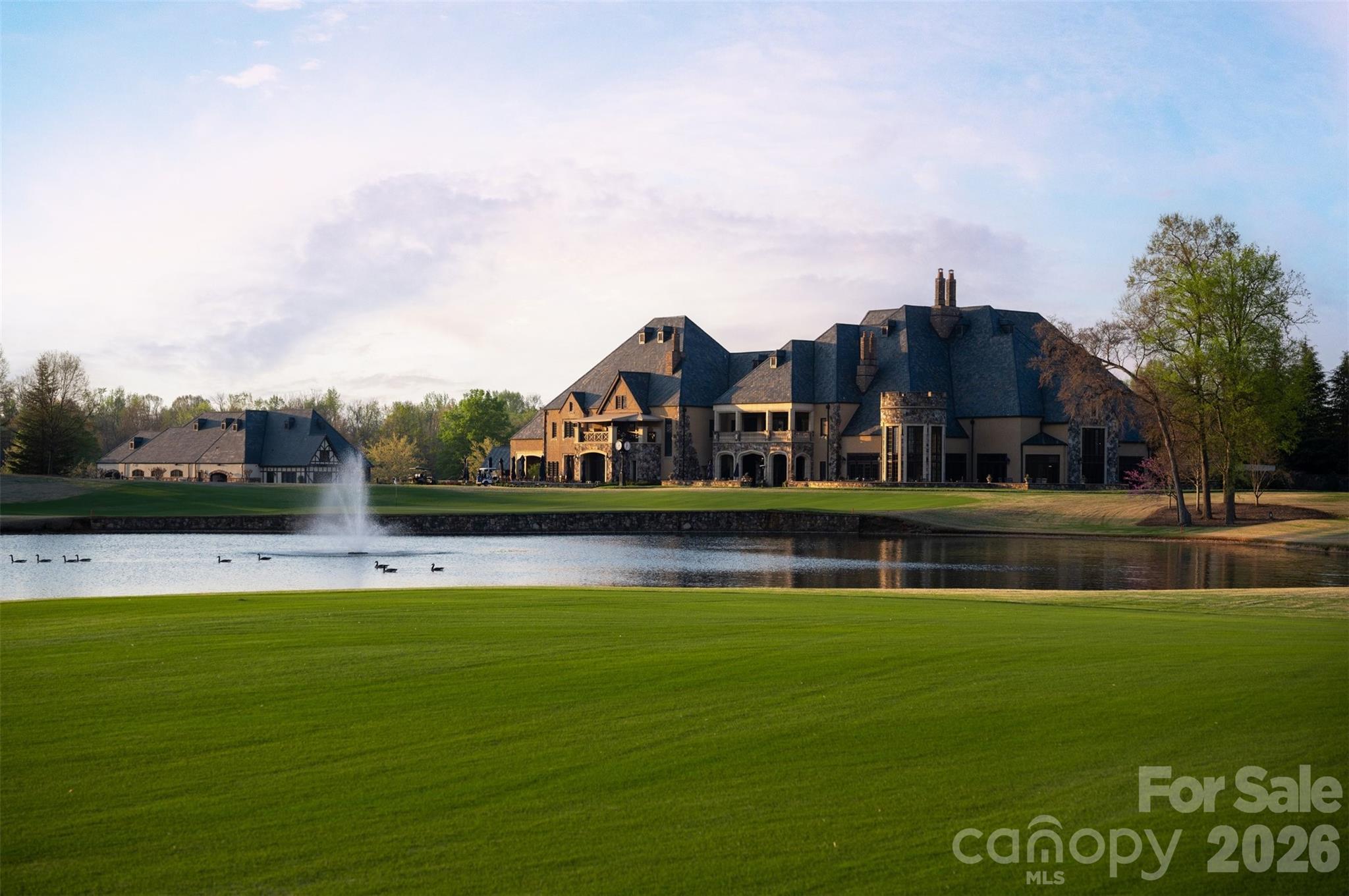 306 Royal Crescent Lane, Waxhaw, NC - photo 9 of 49
