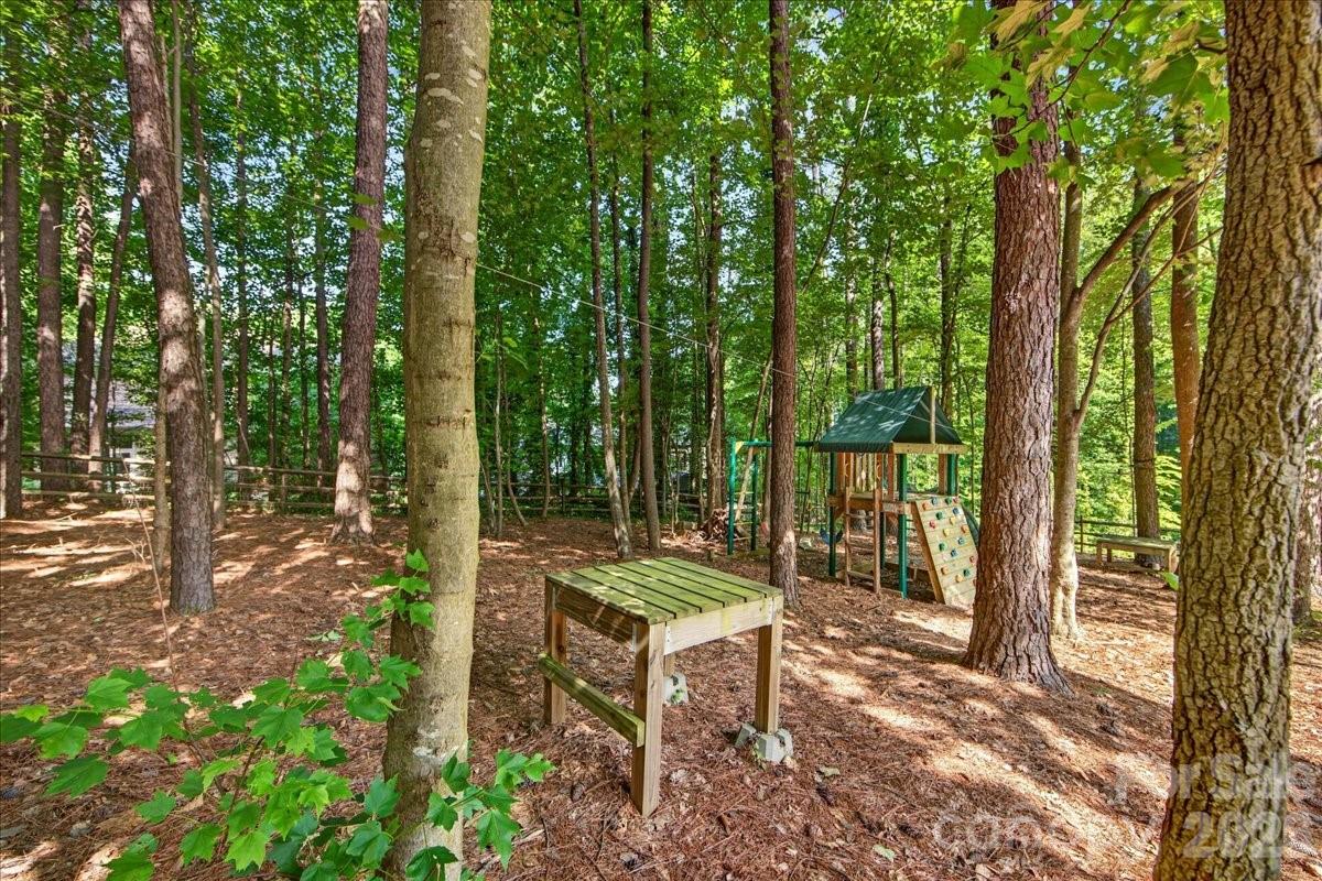 Photo 41 of 12023 Overlook Mountain Drive, Charlotte, NC