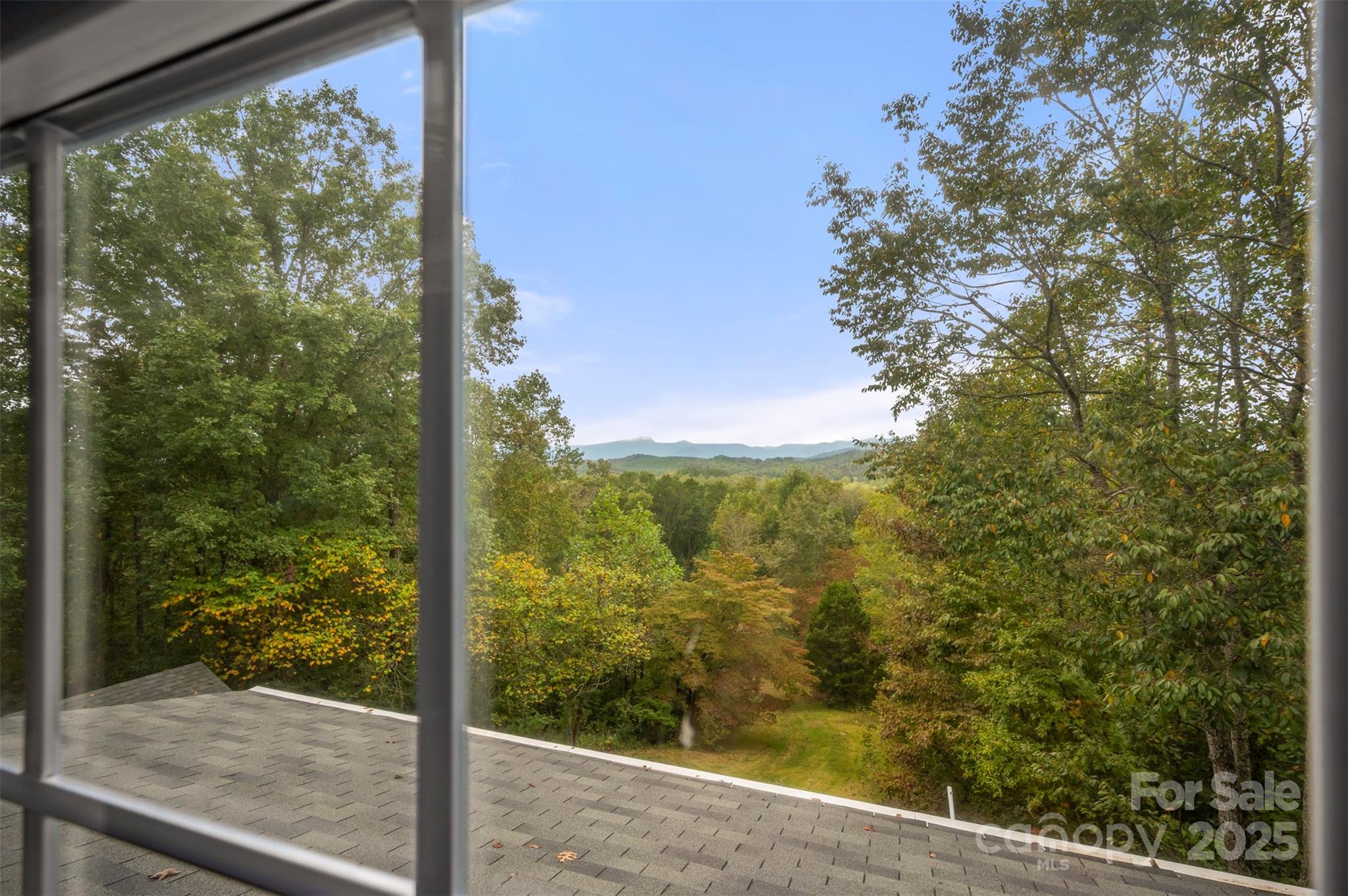 167 Balfour Drive, Rutherfordton, NC - photo 31 of 49