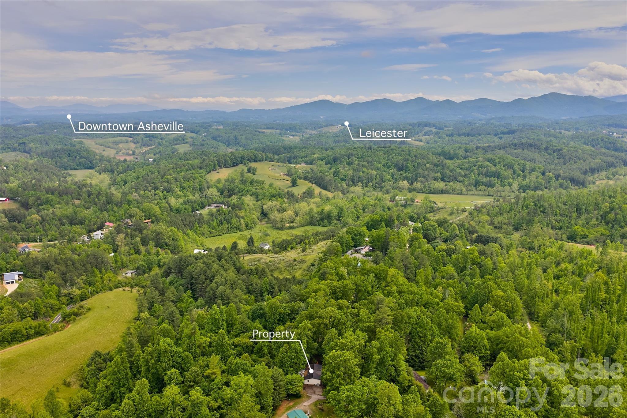 611 Turkey Creek Terrace, Leicester, NC - photo 41 of 43
