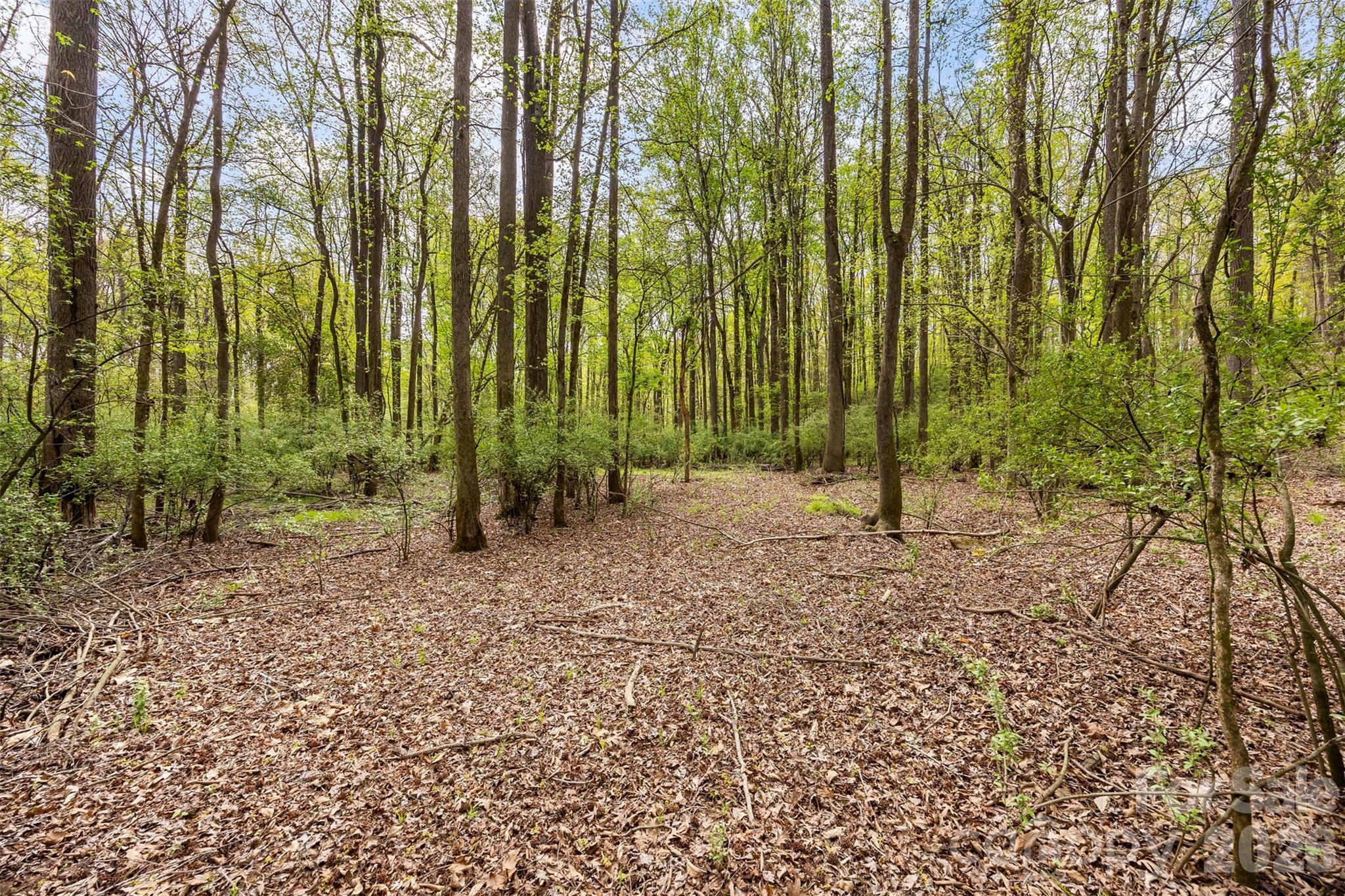 10601 Wildlife Road, Charlotte, NC - photo 9 of 30