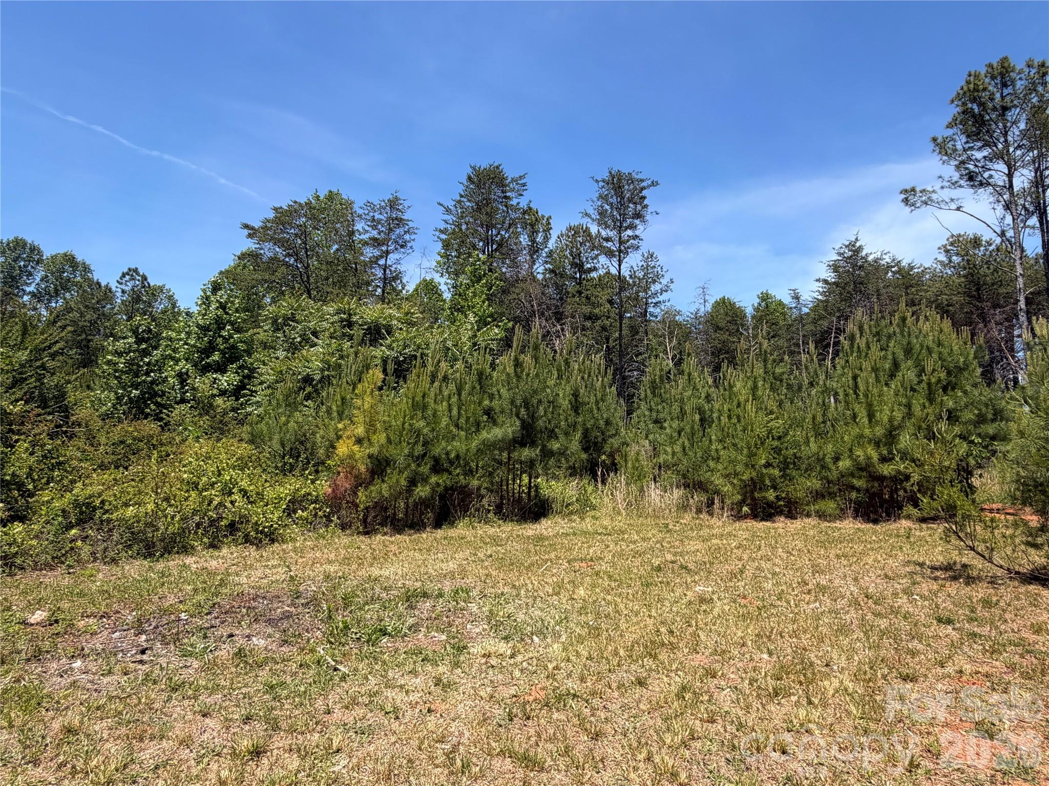 1962 Norman Parker Road, Lawndale, NC - photo 7 of 23