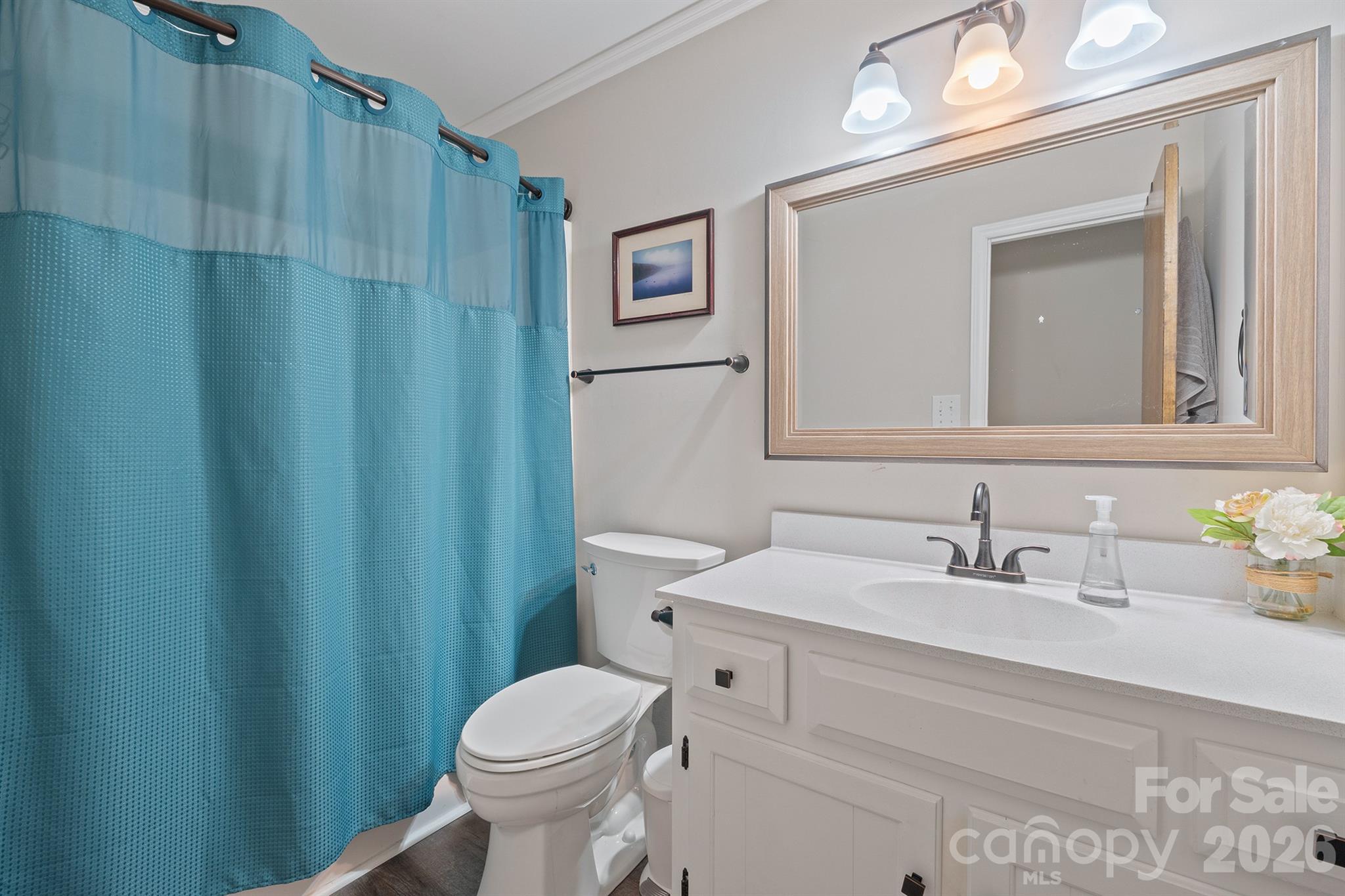 19017 Kailua Circle, Tega Cay, SC - photo 31 of 47