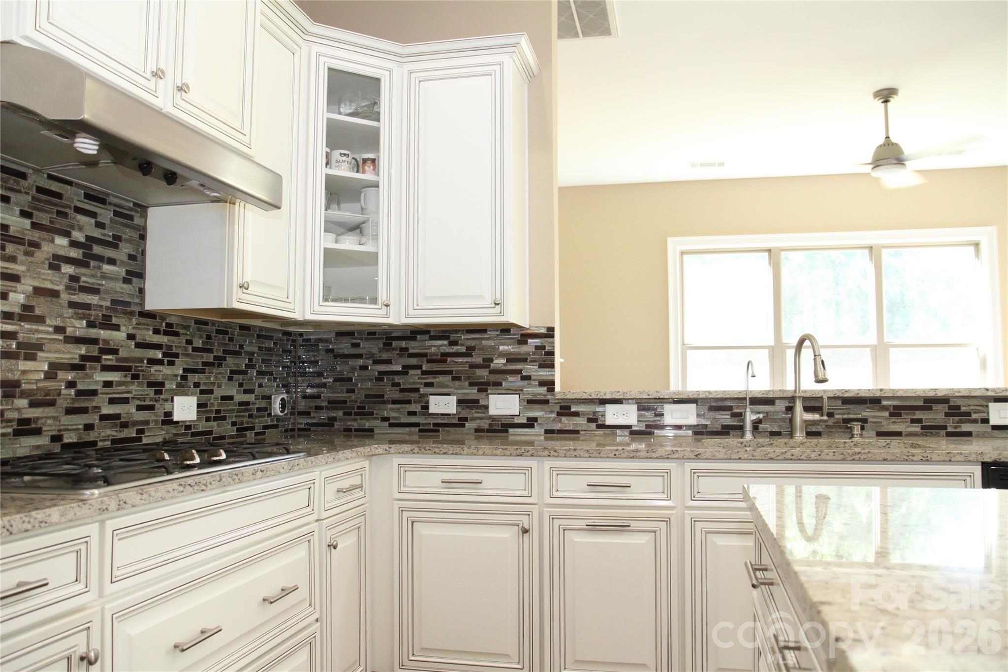 125 Leeward Shoals Lane, Mooresville, NC - photo 11 of 49