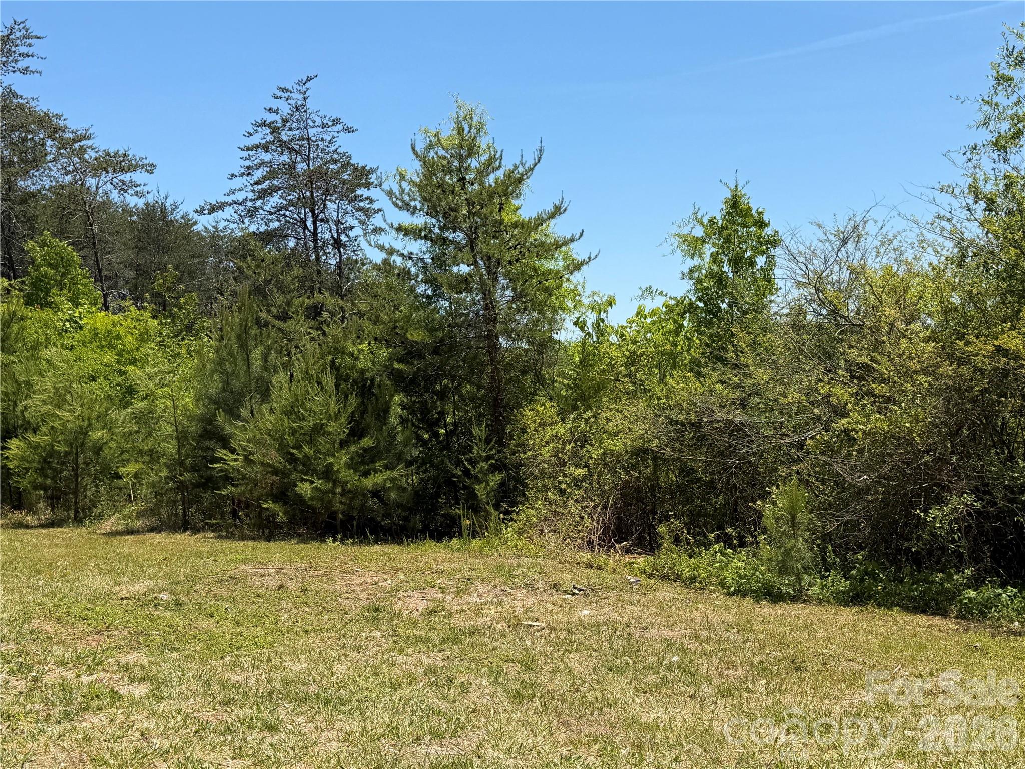 1962 Norman Parker Road, Lawndale, NC - photo 4 of 23