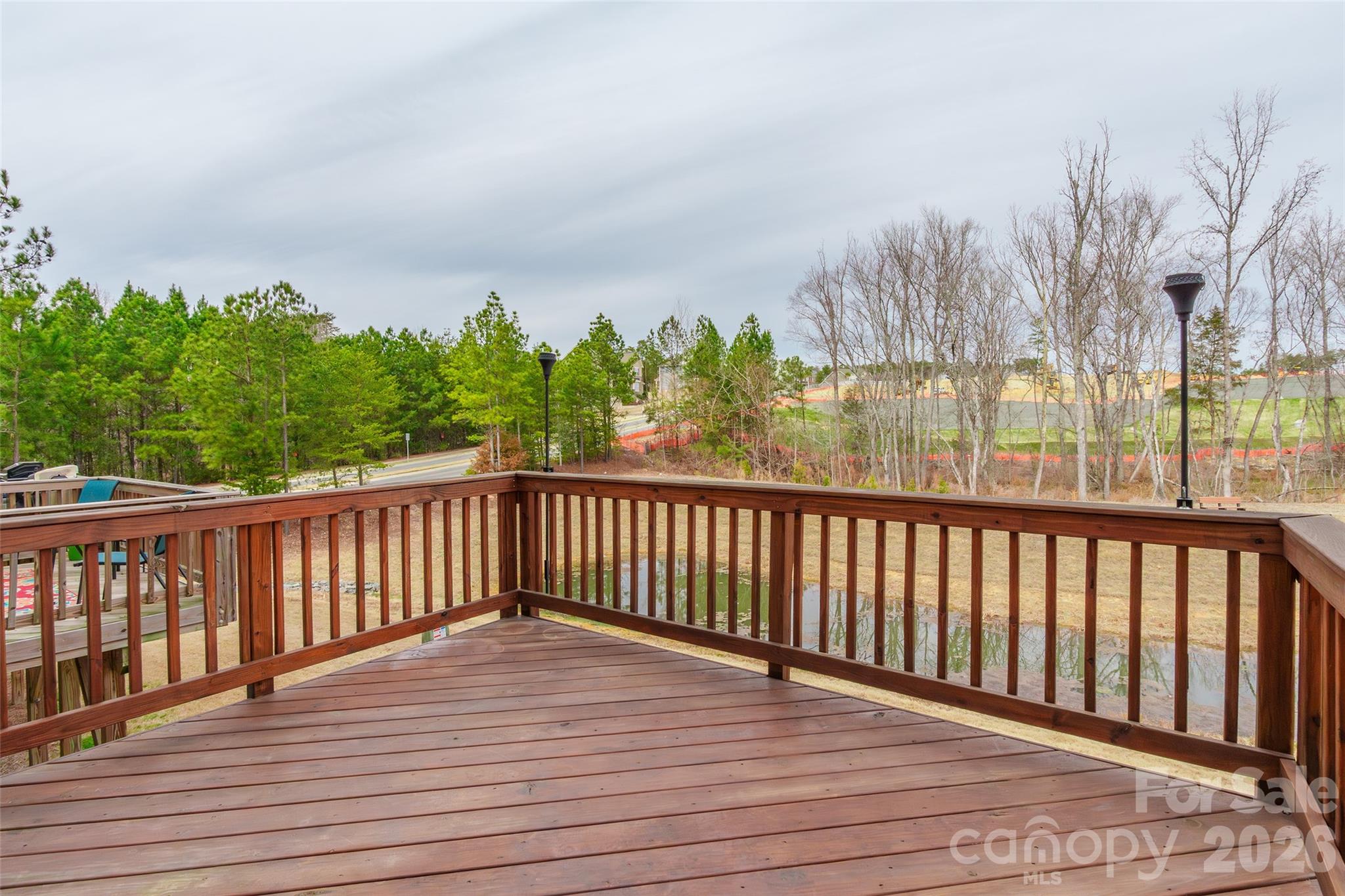 411 Lahinch Drive, Tega Cay, SC - photo 29 of 36