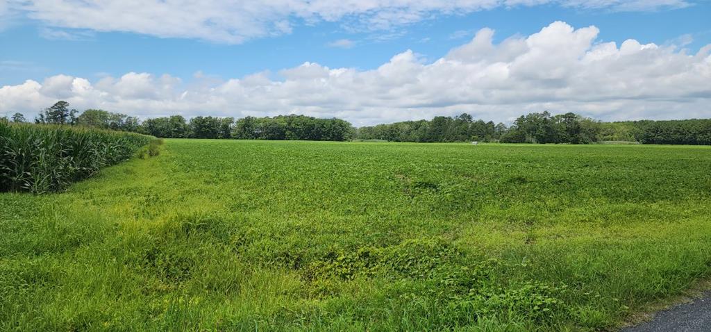 Listings Page - Lots + Acreage - Chesapeake Properties - Eastern Shore ...