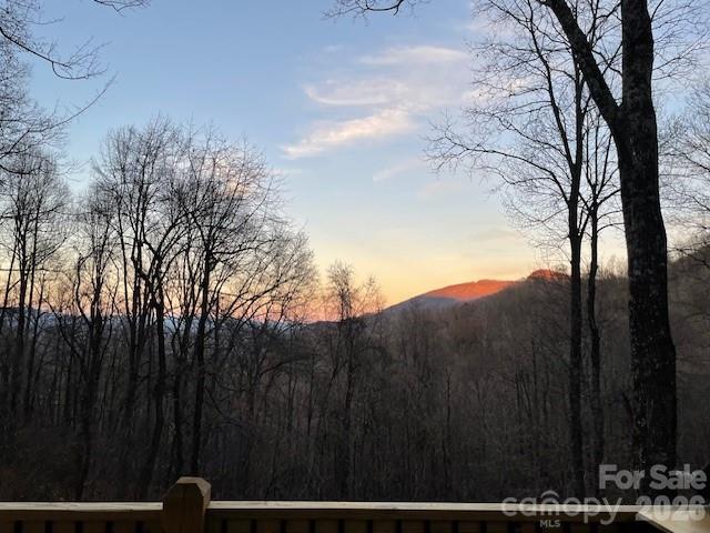 771 Sally Gap Road, Old Fort, NC - photo 43 of 49