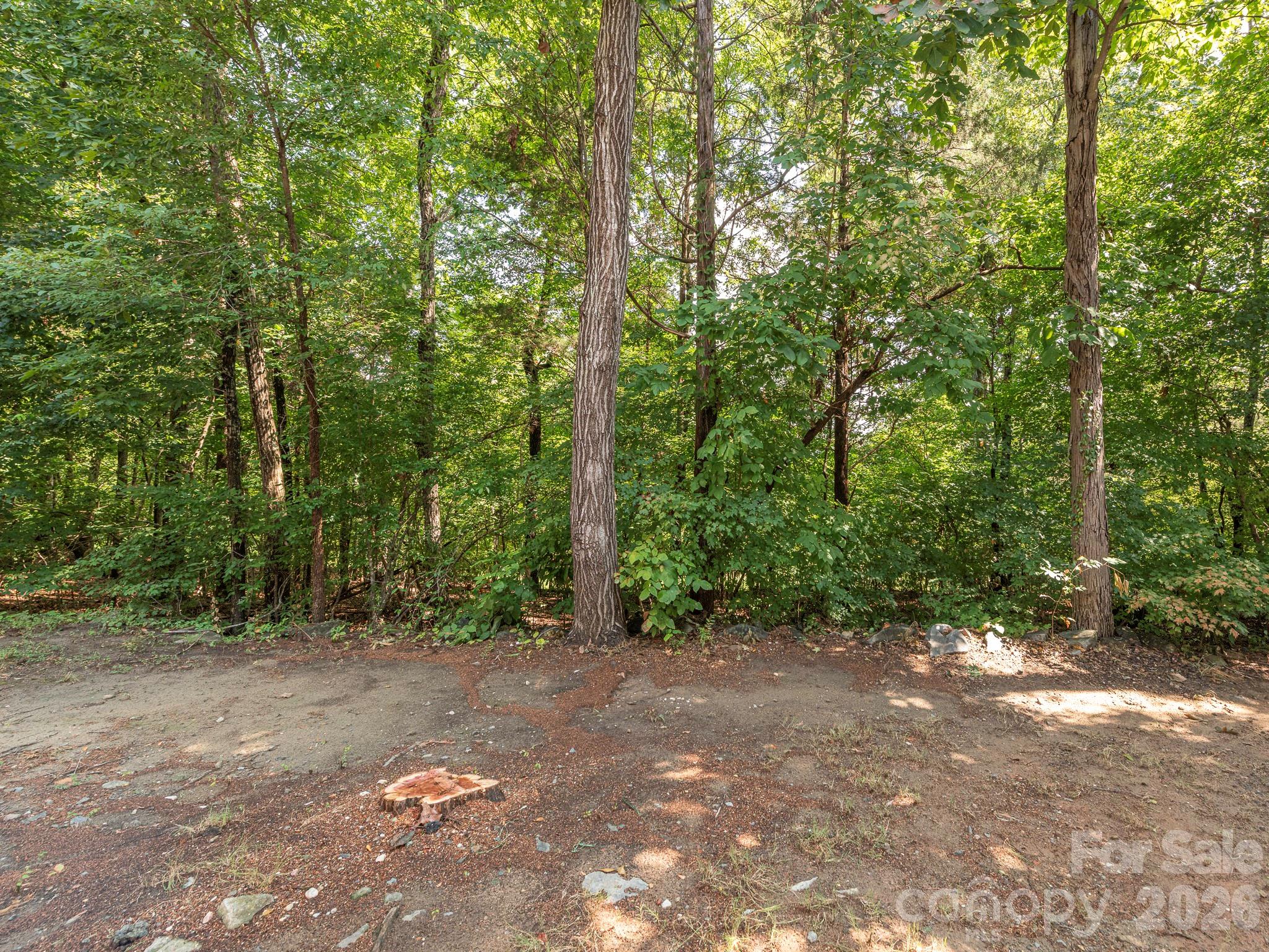 1554 Maypine Commons Way, Rock Hill, SC - photo 46 of 49