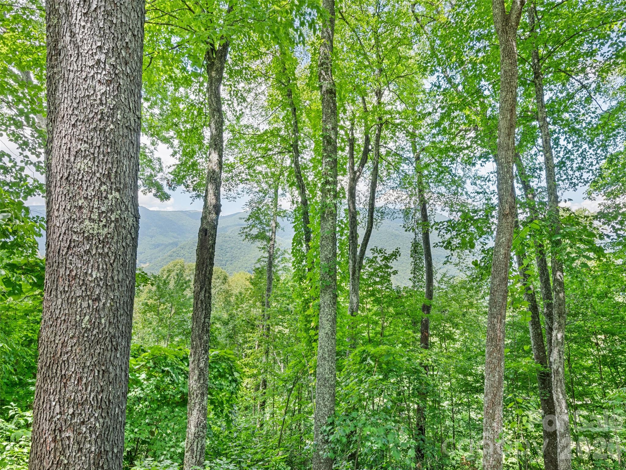 1672 Summit Drive, Maggie Valley, NC - photo 14 of 38