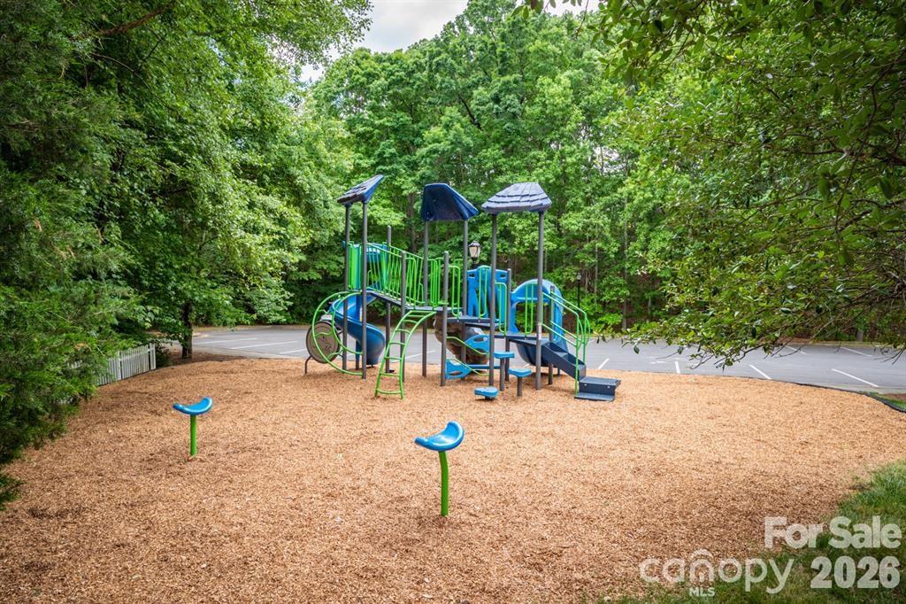 189 Mills Lane, Fort Mill, SC - photo 43 of 49