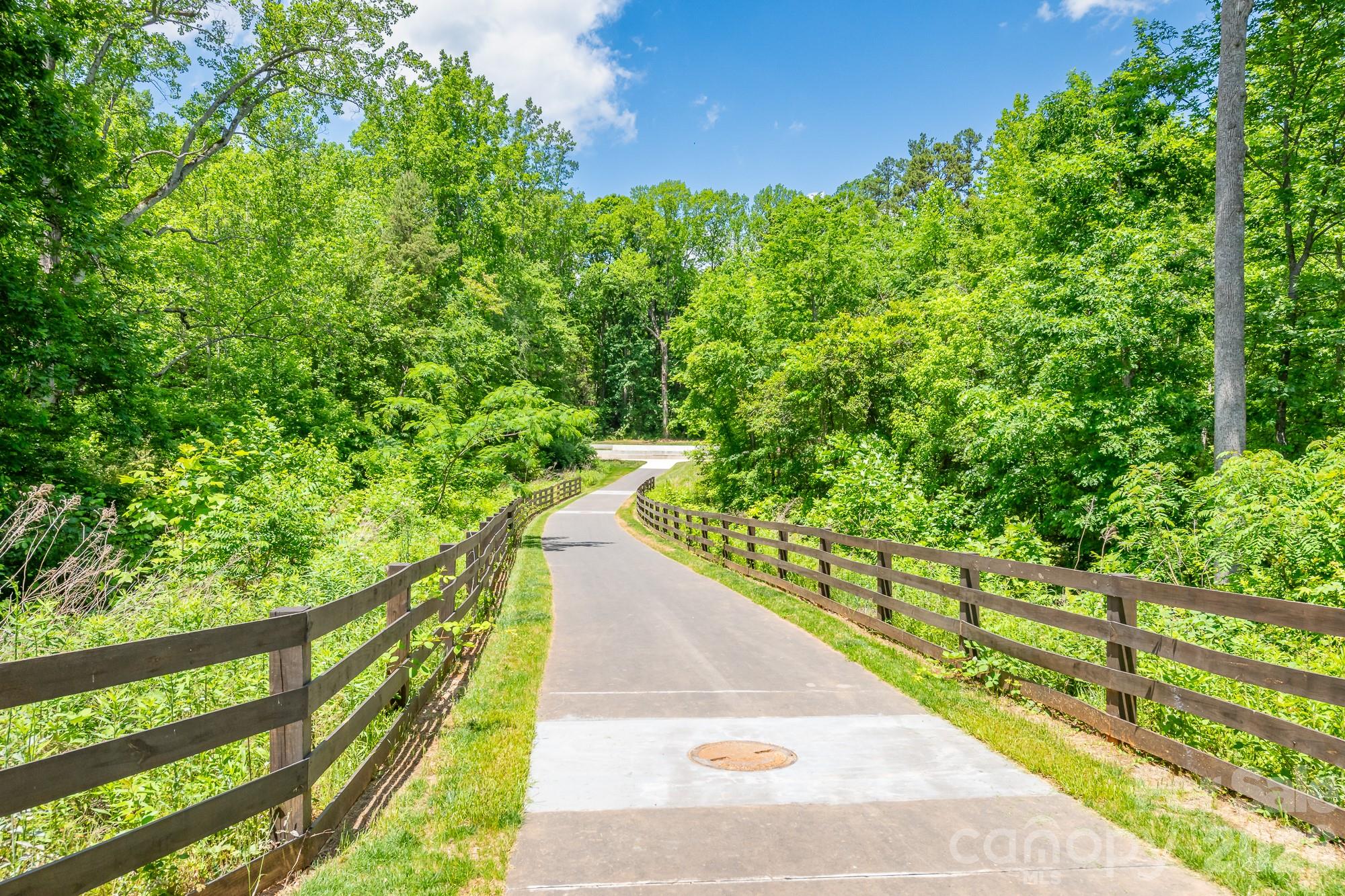 10732 Trolley Run Drive, Cornelius, NC - photo 47 of 49