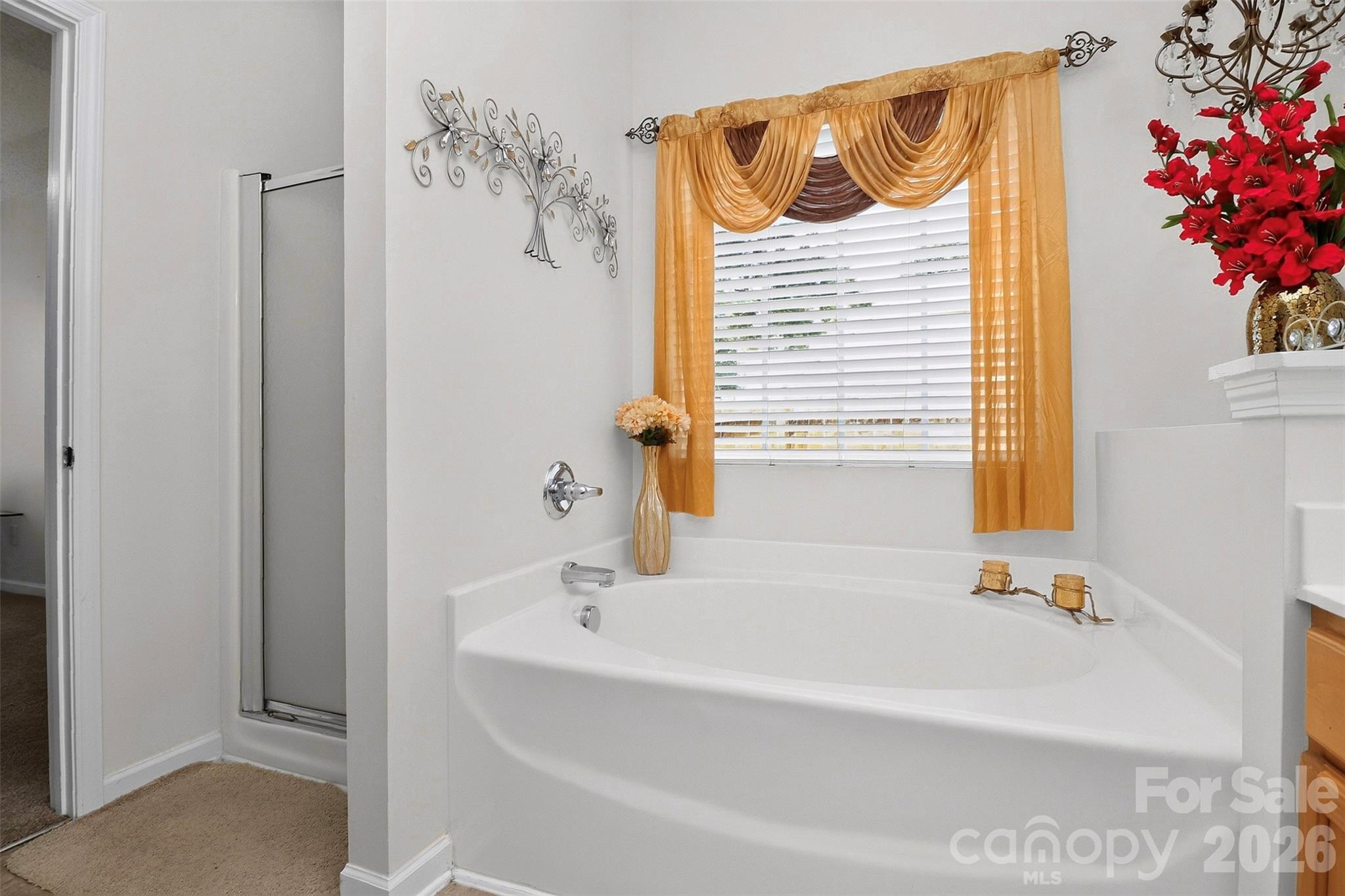 Home for sale at 7613 Deluca Drive, Charlotte, NC — photo 23 of 46
