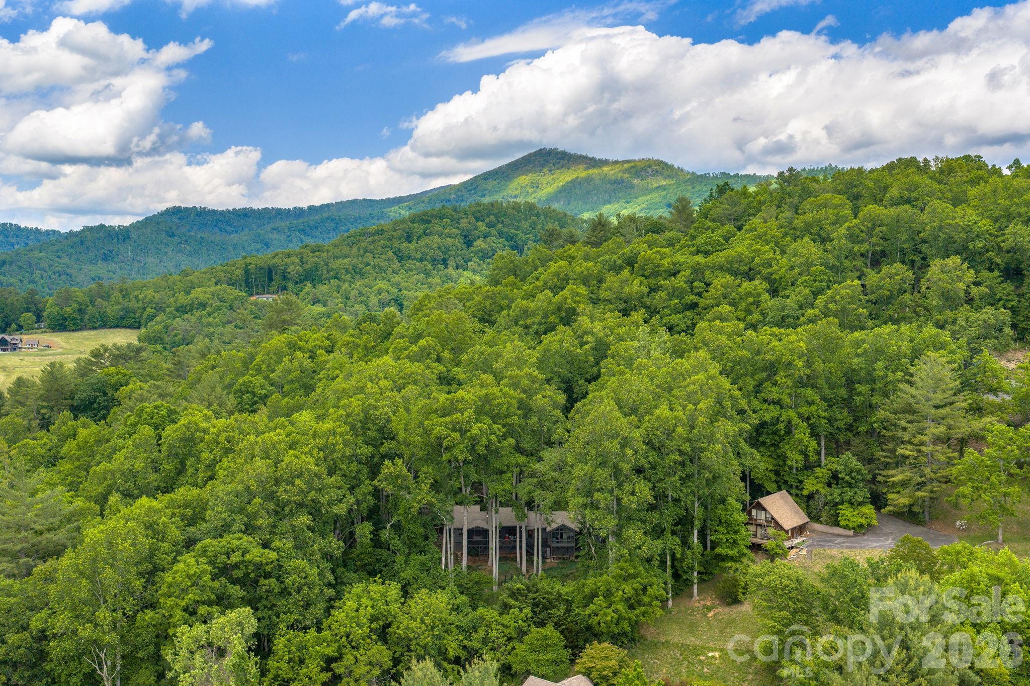 107 Buffalo Trail, Asheville, NC - photo 48 of 49