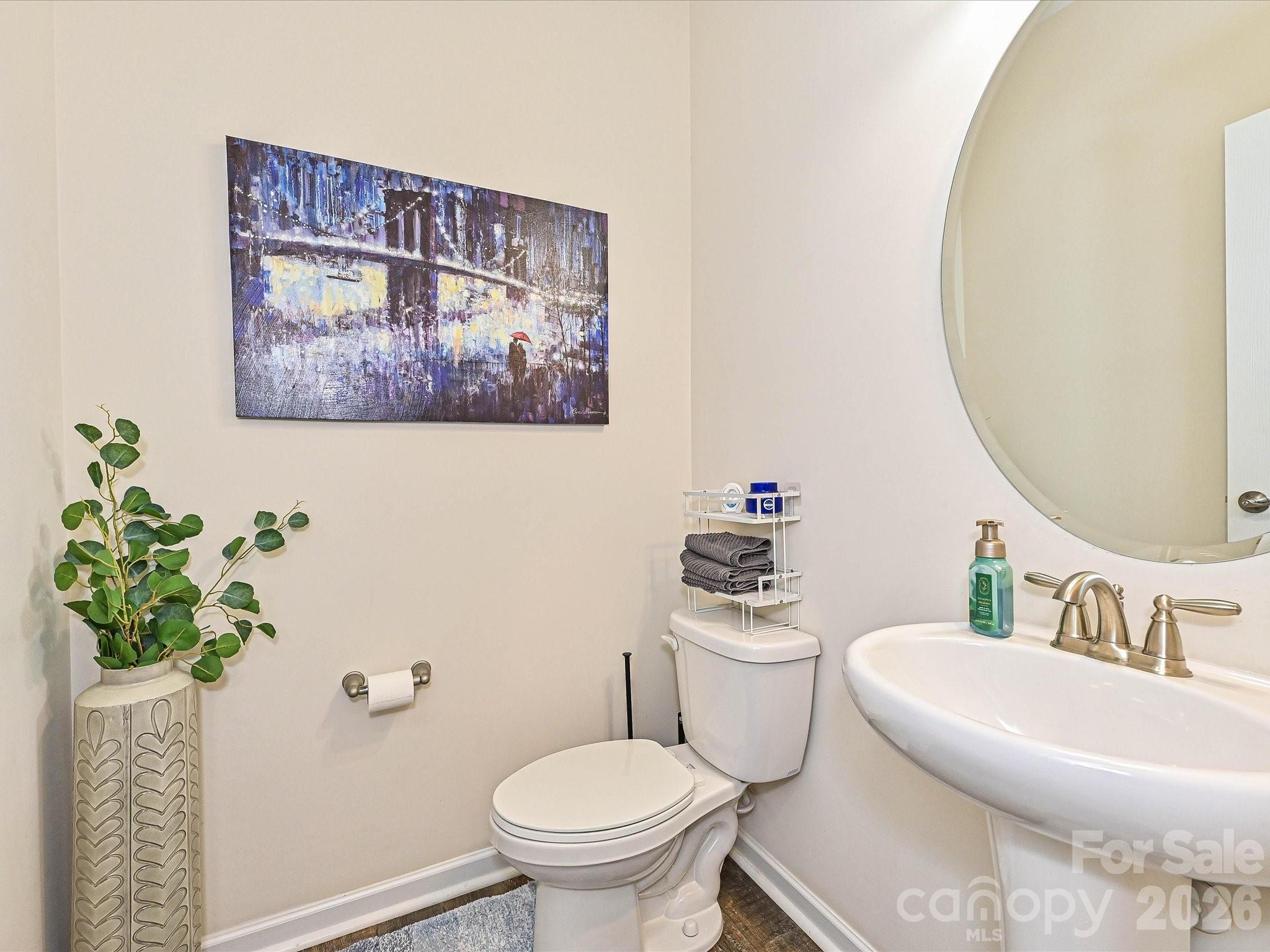 2614 Lochview Street, Fort Mill, SC - photo 19 of 43