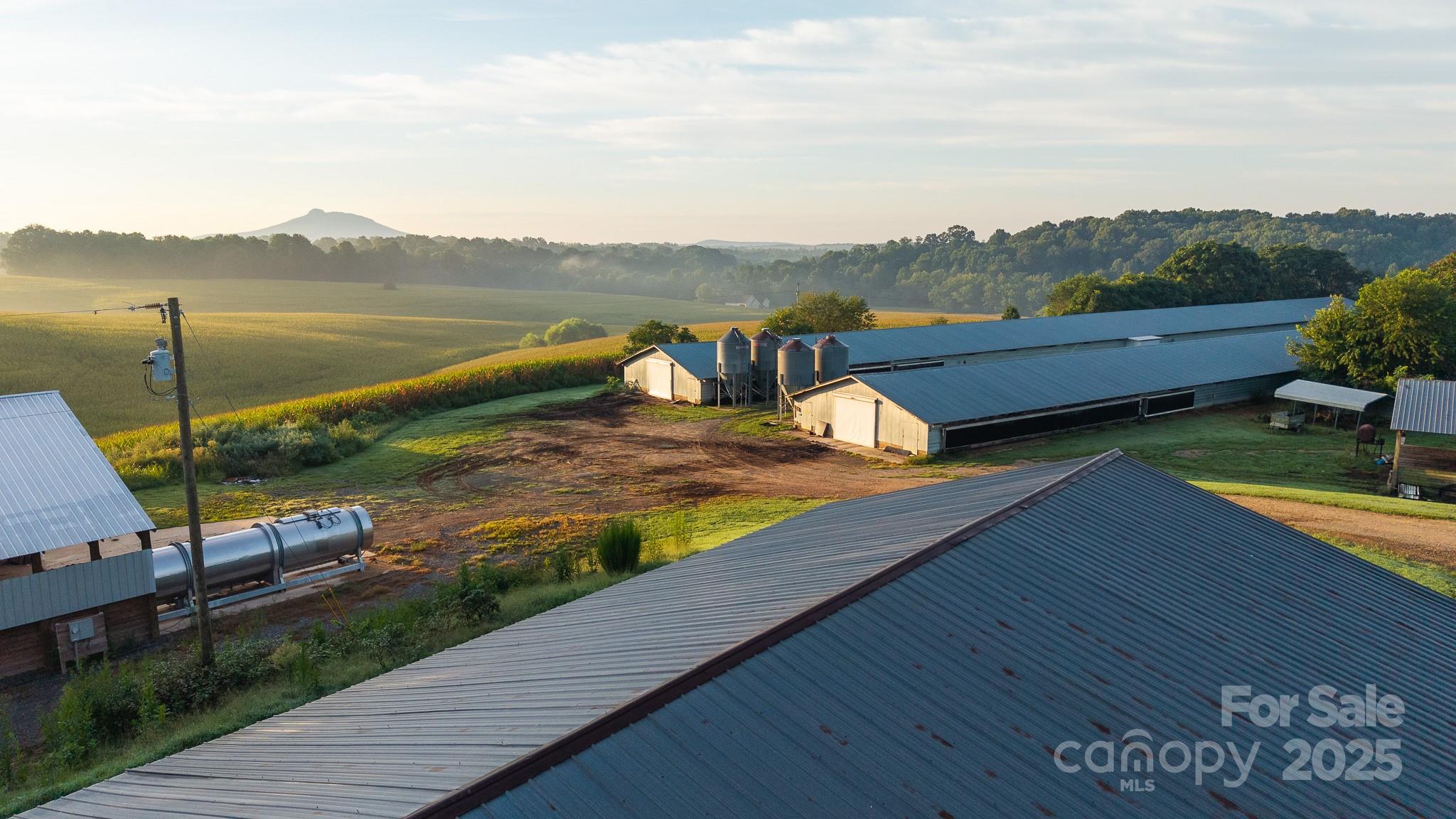 167 Buck Hollow Trail, Ararat, NC - photo 24 of 45