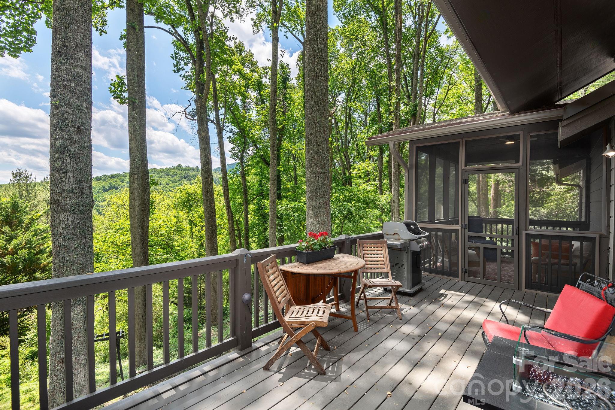 107 Buffalo Trail, Asheville, NC - photo 13 of 49