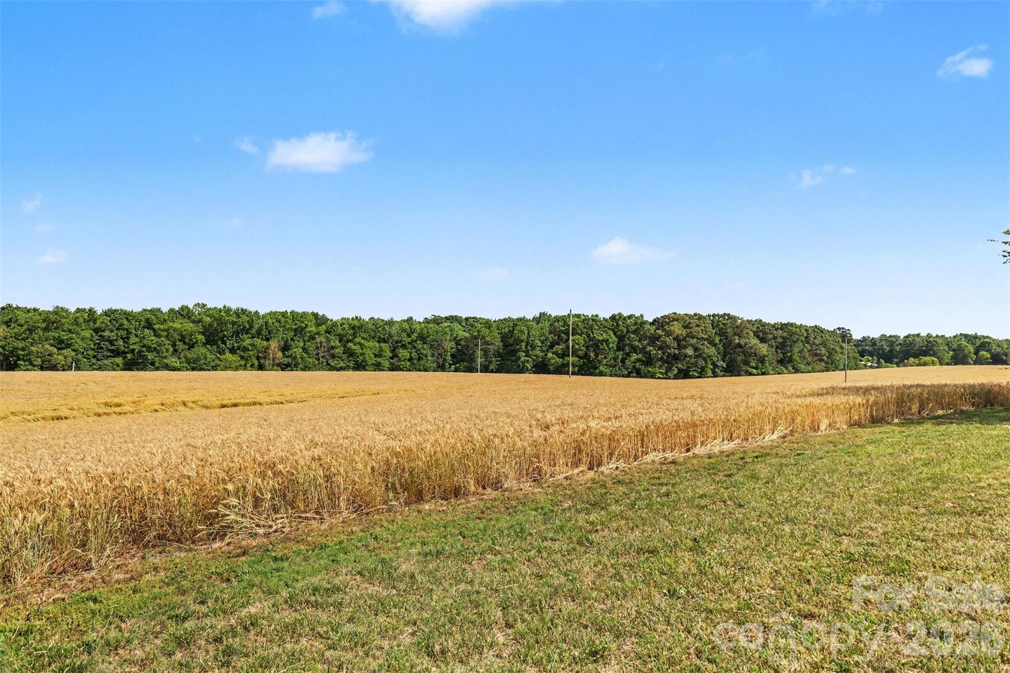 6710 Effie Whitley Road, Monroe, NC - photo 12 of 49