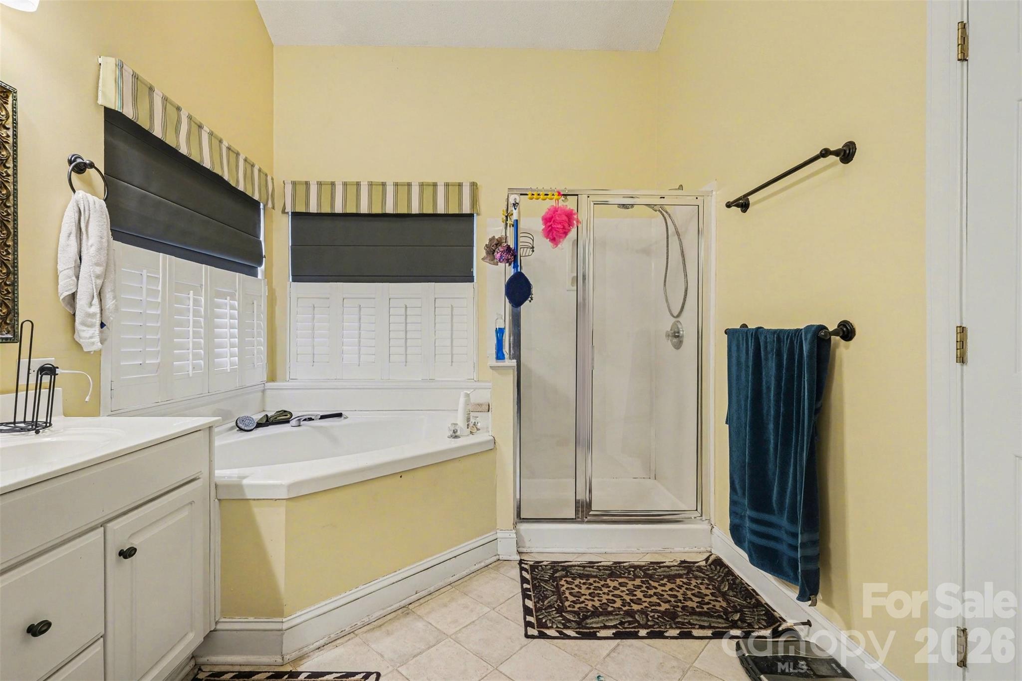 Photo 23 of 12310 Panthersville Drive, Charlotte, NC