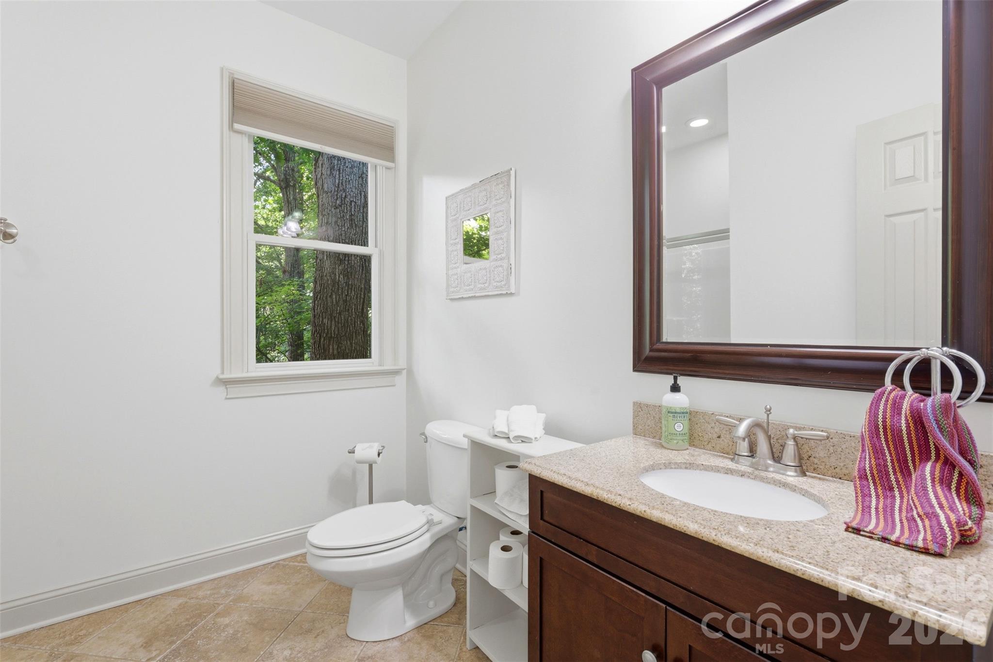 739 Julia Street, Fort Mill, SC - photo 33 of 49