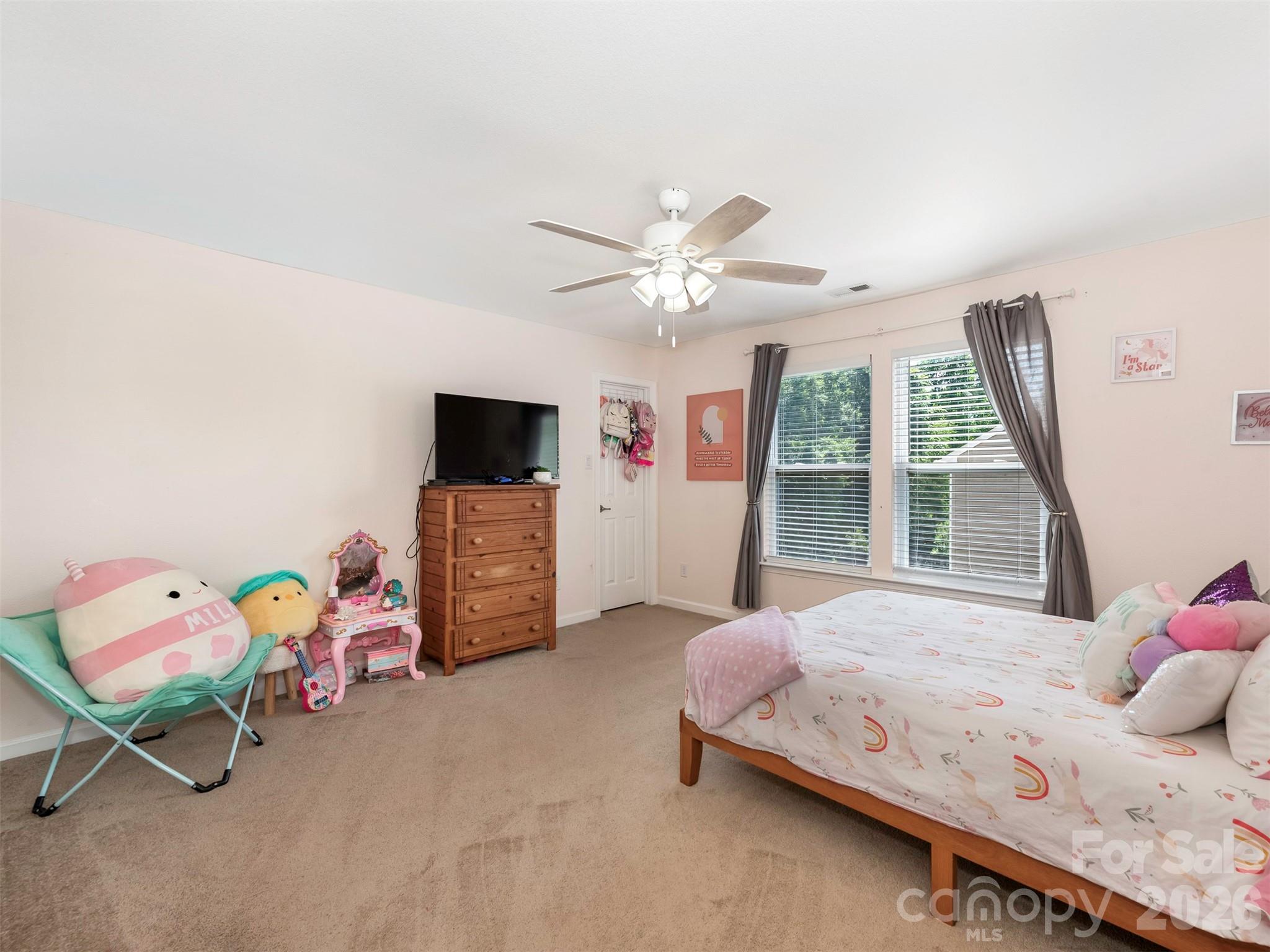 941 Capetown Lane, Clover, SC - photo 11 of 26