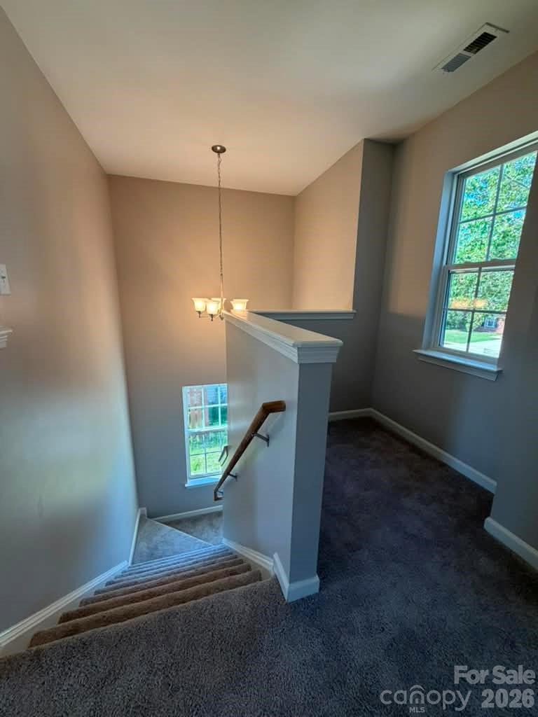 Photo 21 of 8207 Belmont Stables Drive, Charlotte, NC