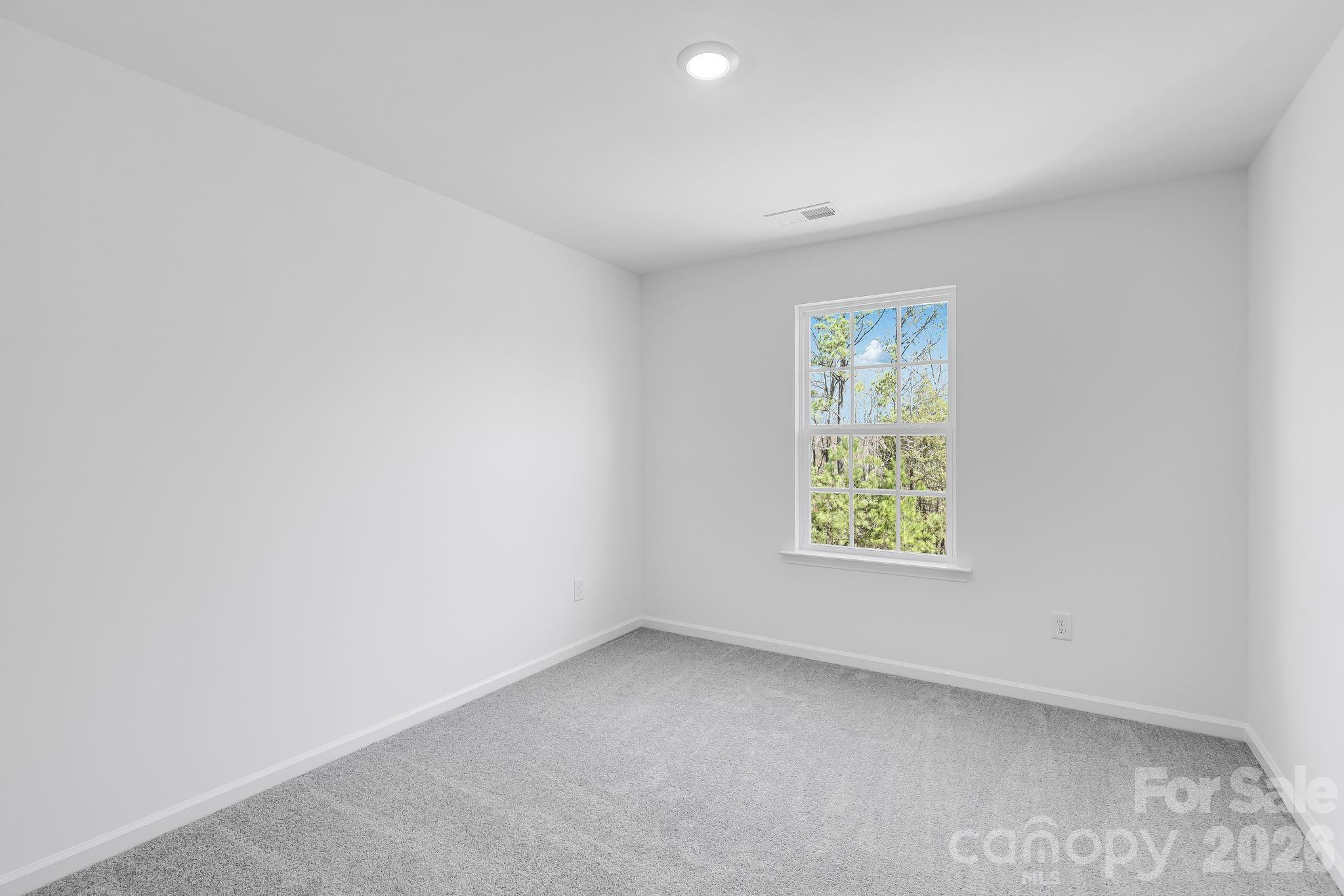 665 Sparano Loop, York, SC - photo 5 of 16