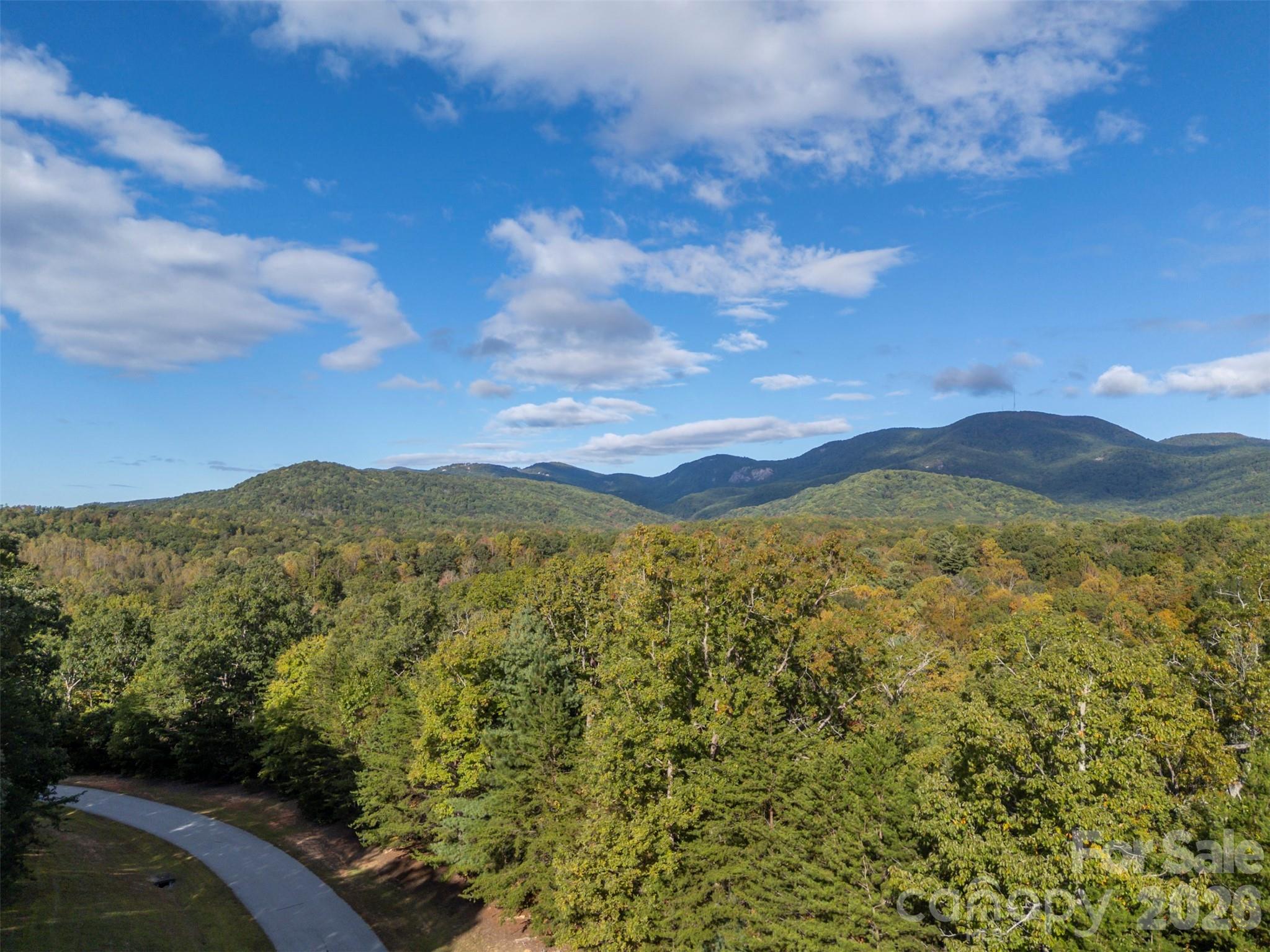 100 Pardo Road, Landrum, SC - photo 14 of 21