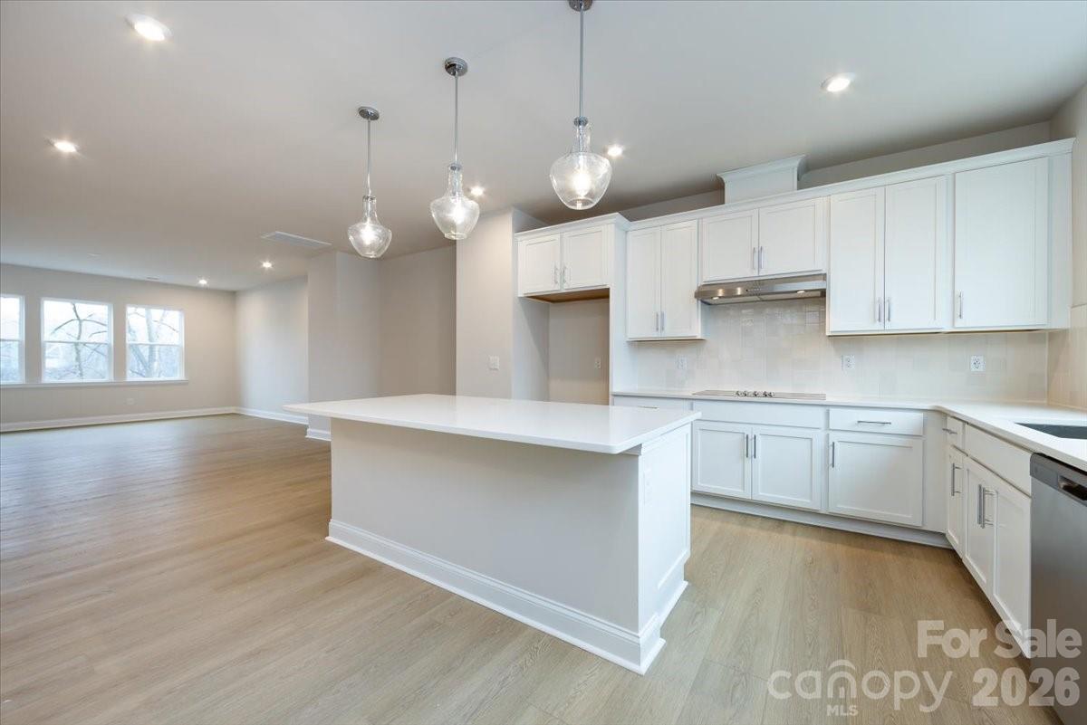Photo 16 of 8030 Cedarsmith Court, Charlotte, NC