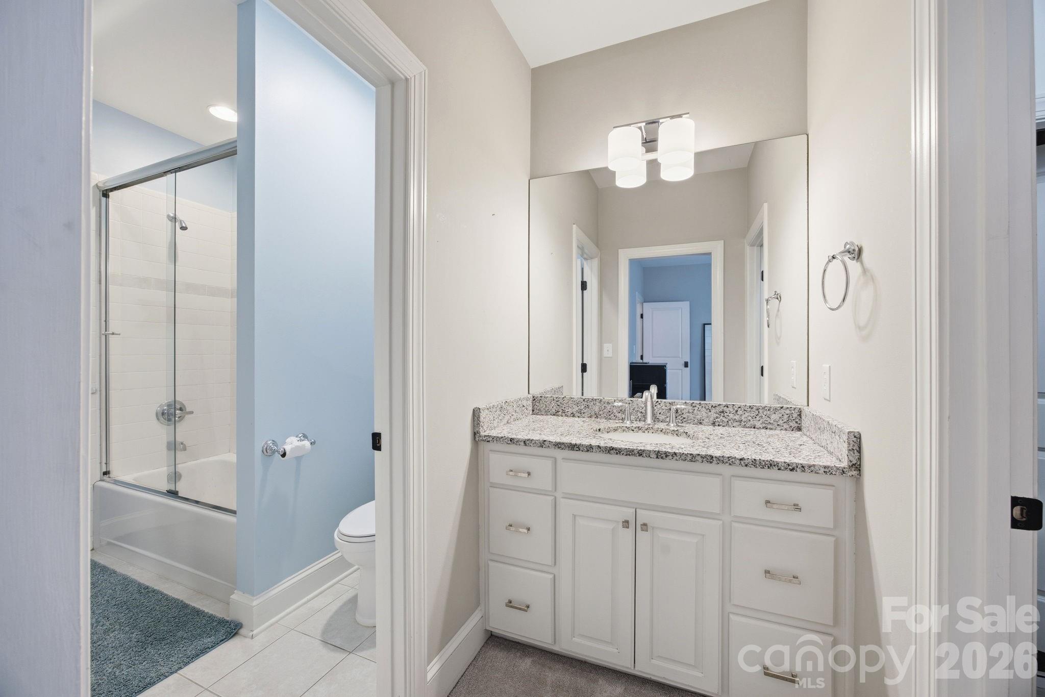18620 Town Harbour Road, Cornelius, NC - photo 29 of 48