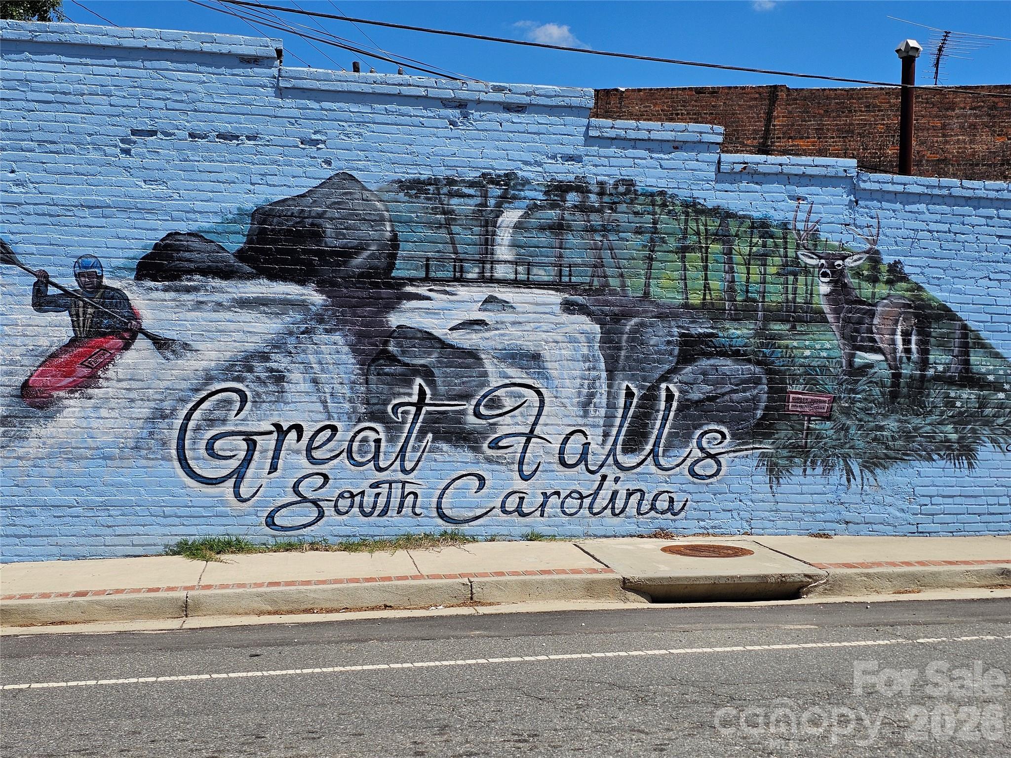 5692 Brooklyn Road, Great Falls, SC - photo 48 of 49