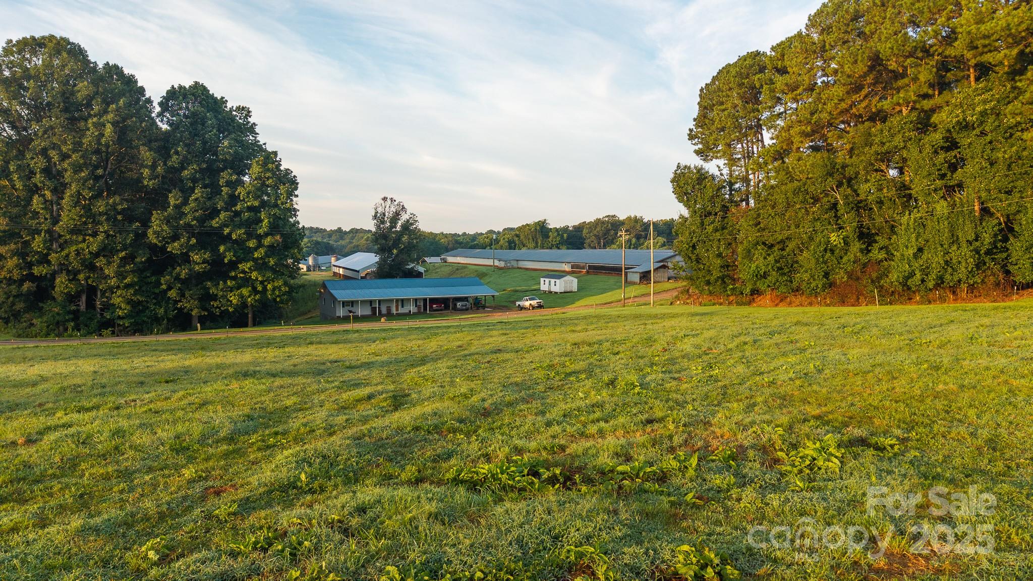 167 Buck Hollow Trail, Ararat, NC - photo 20 of 45