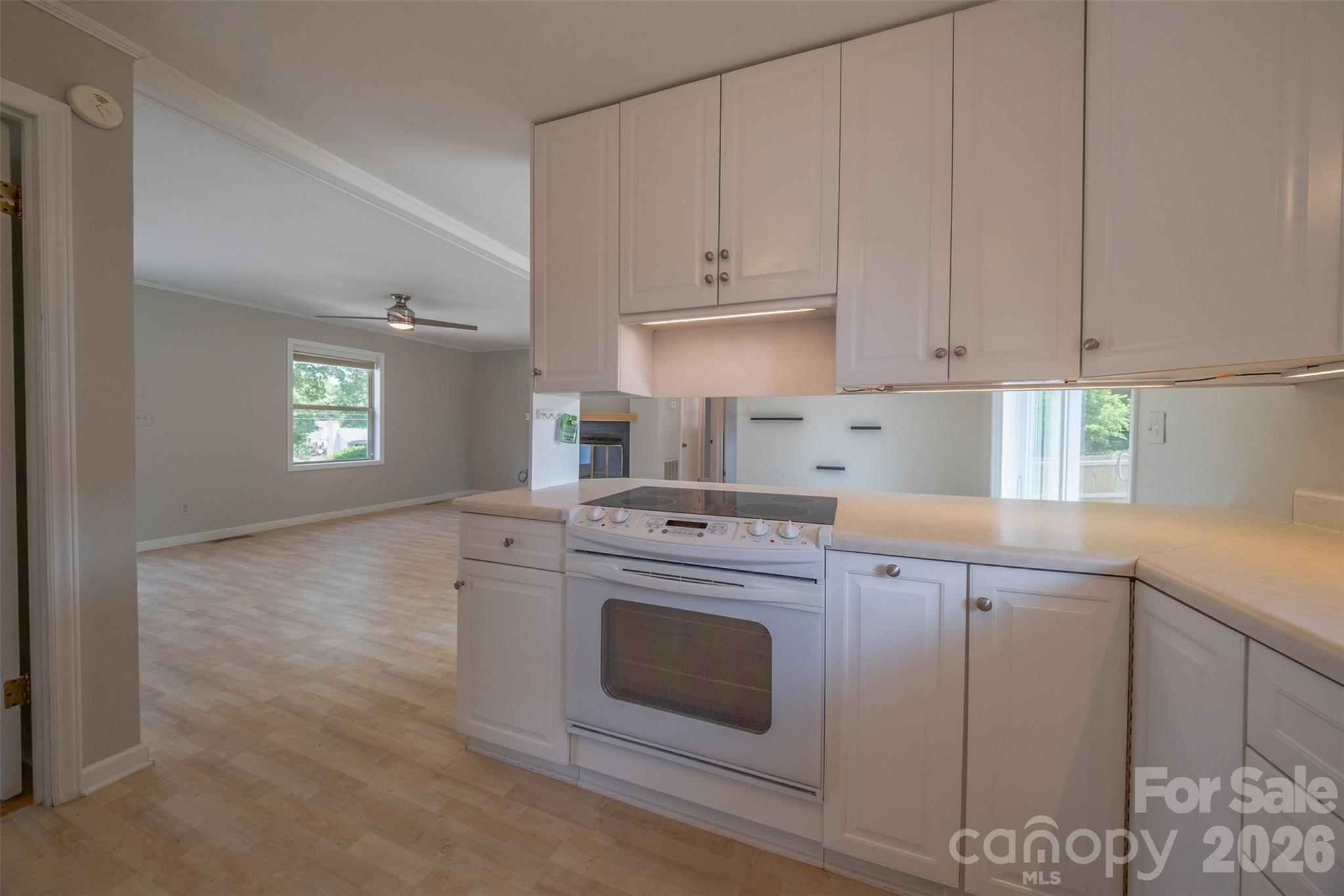 21205 Rio Oro Drive, Cornelius, NC - photo 14 of 46