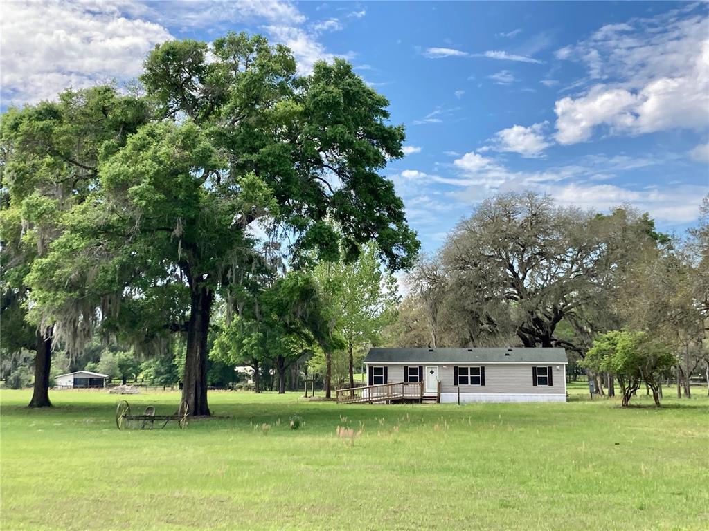 Want to Get Started With a New Horse Farm? | Ocala Ranches