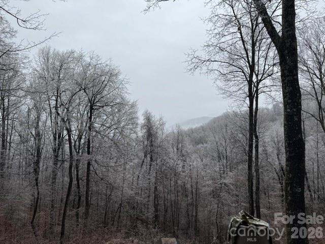 771 Sally Gap Road, Old Fort, NC - photo 42 of 49
