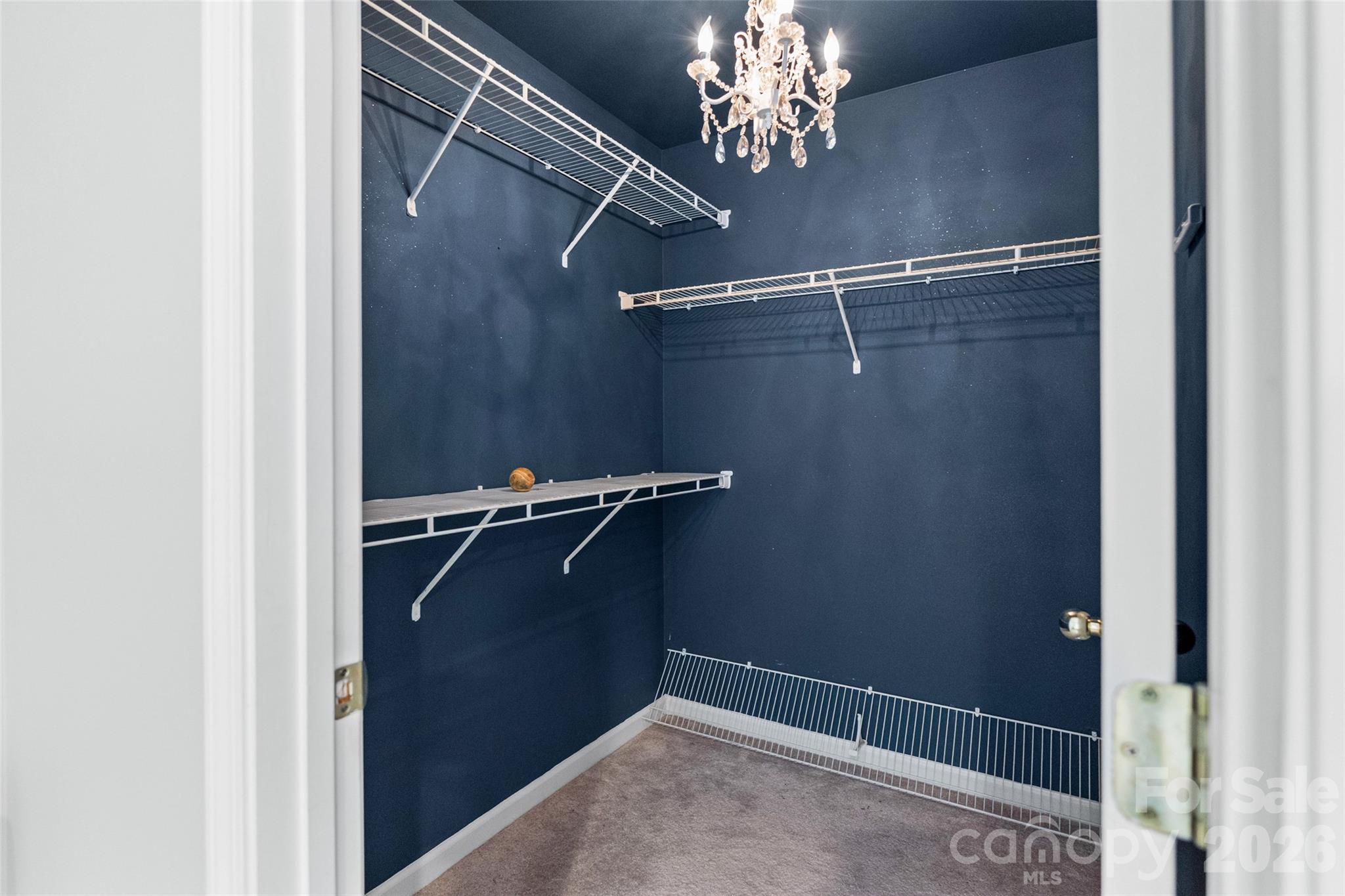 173 Snead Road, Fort Mill, SC - photo 23 of 31