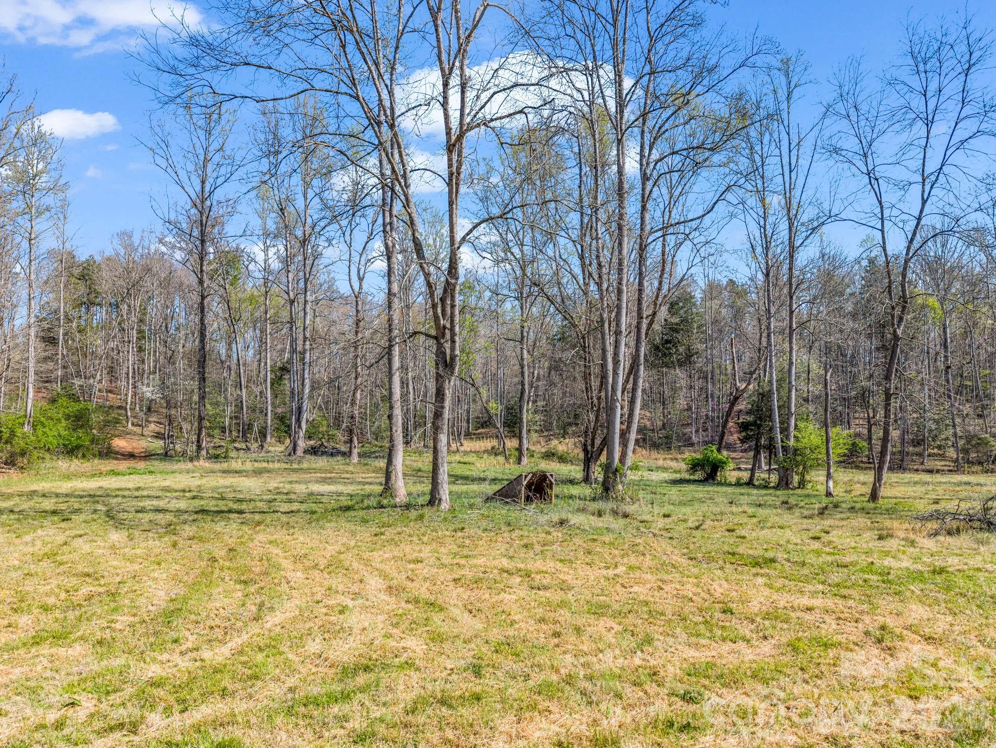 990 Romey Campbell Road, Ellenboro, NC - photo 9 of 49