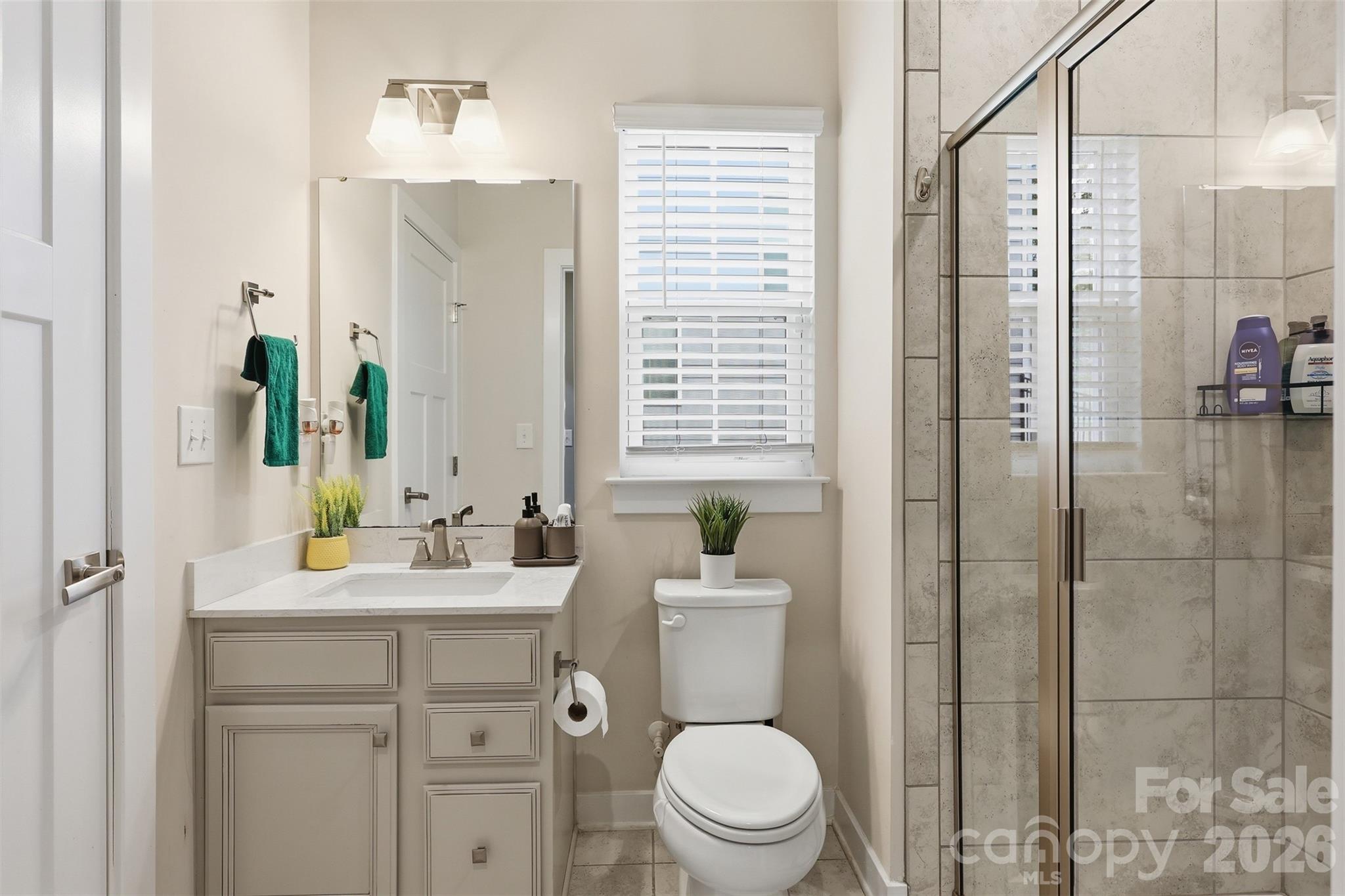 Photo 19 of 10258 Paper Birch Drive, Charlotte, NC