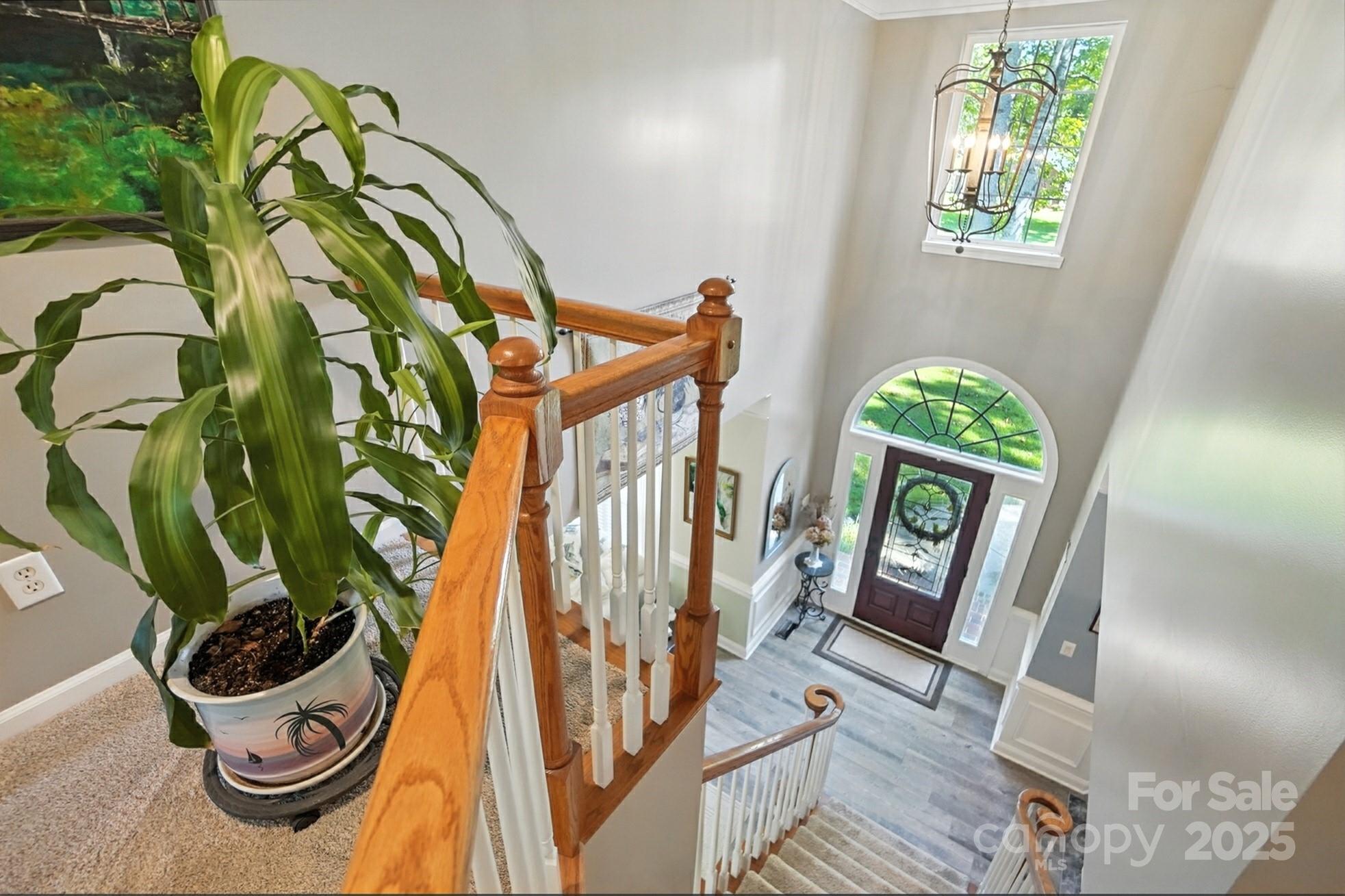 10219 Windtree Lane, Charlotte, NC - photo 19 of 36