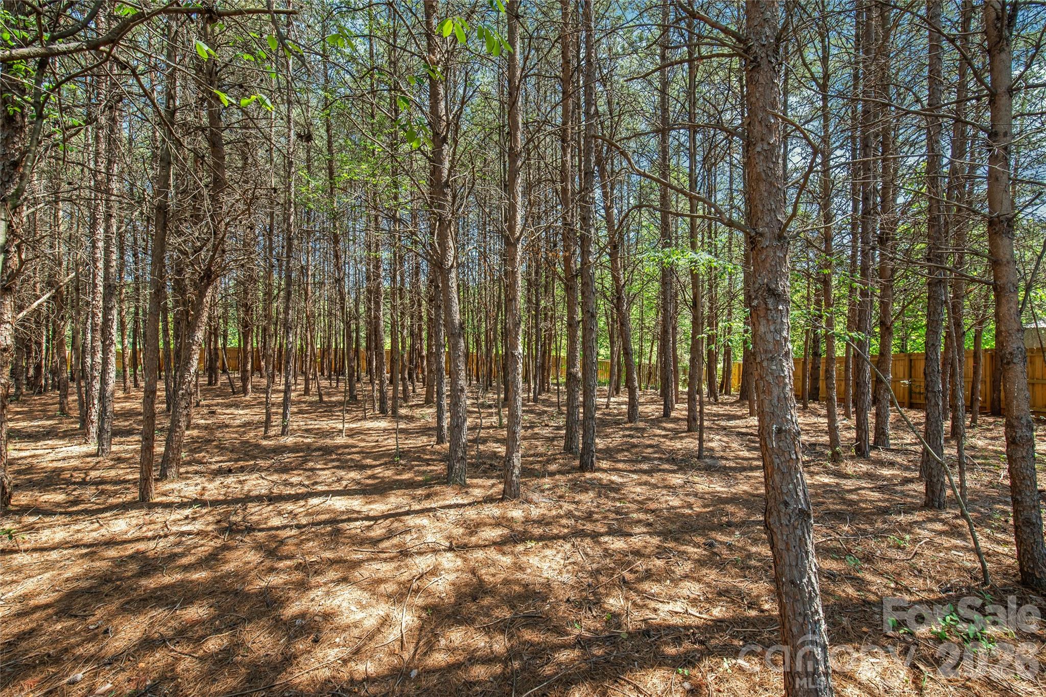 116 Damon Drive, Shelby, NC - photo 38 of 43